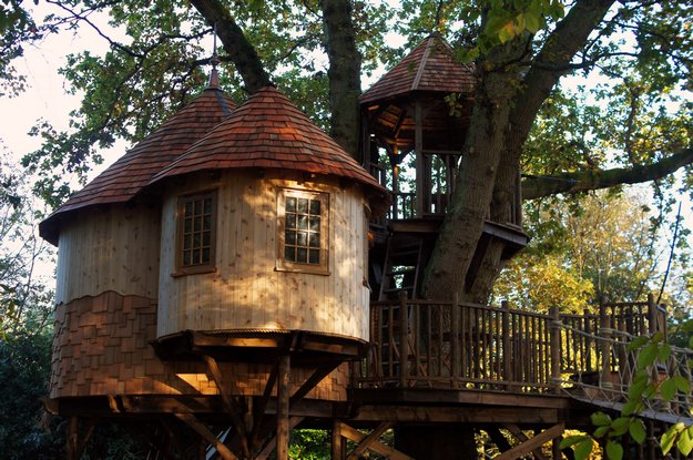 Timbertop Hangout Treehouse by Blue Forest (UK) Ltd - Treehouses ...