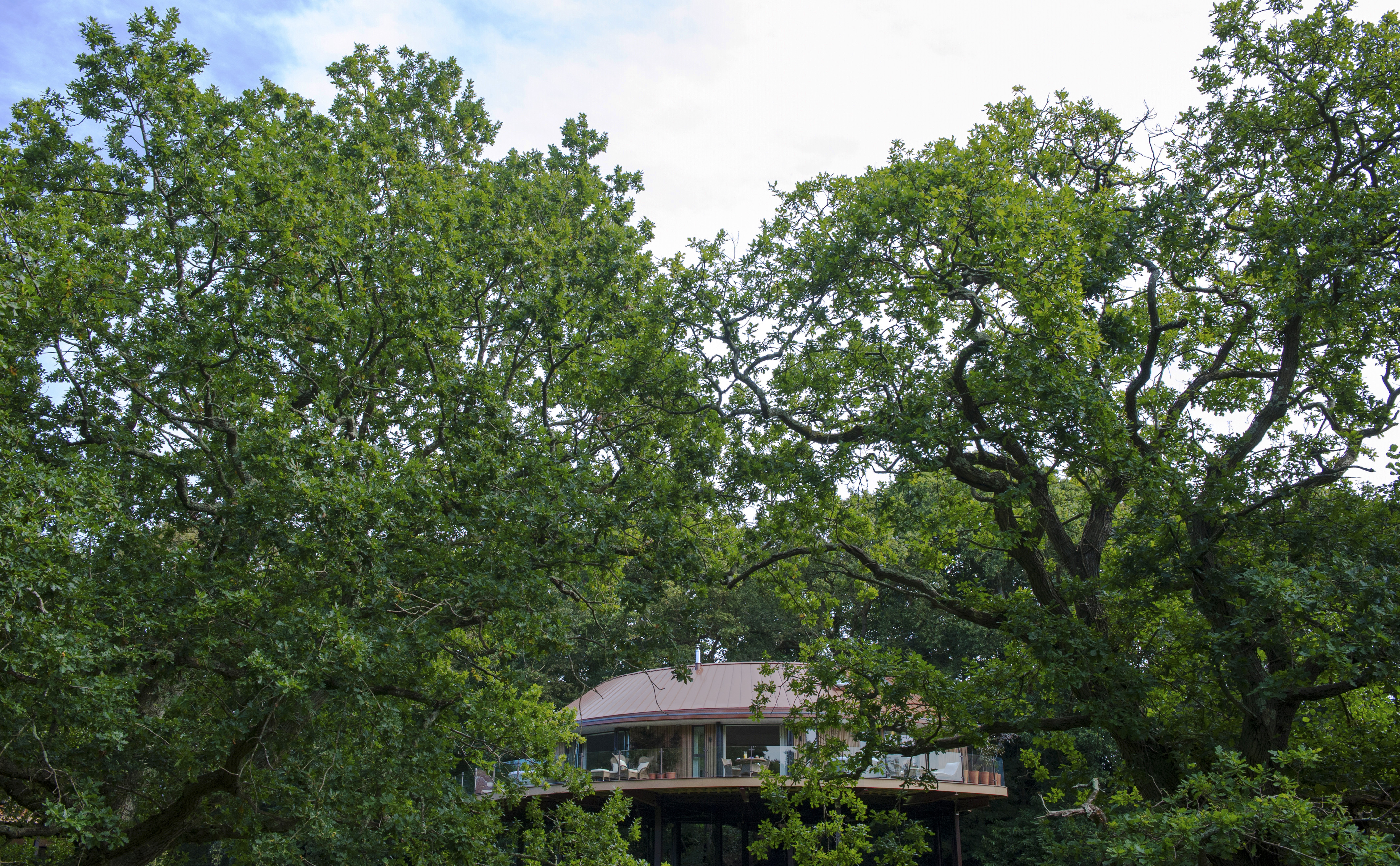 Chewton Glen Treehouse Suites by Blue Forest (UK) Ltd - Treehouses ...