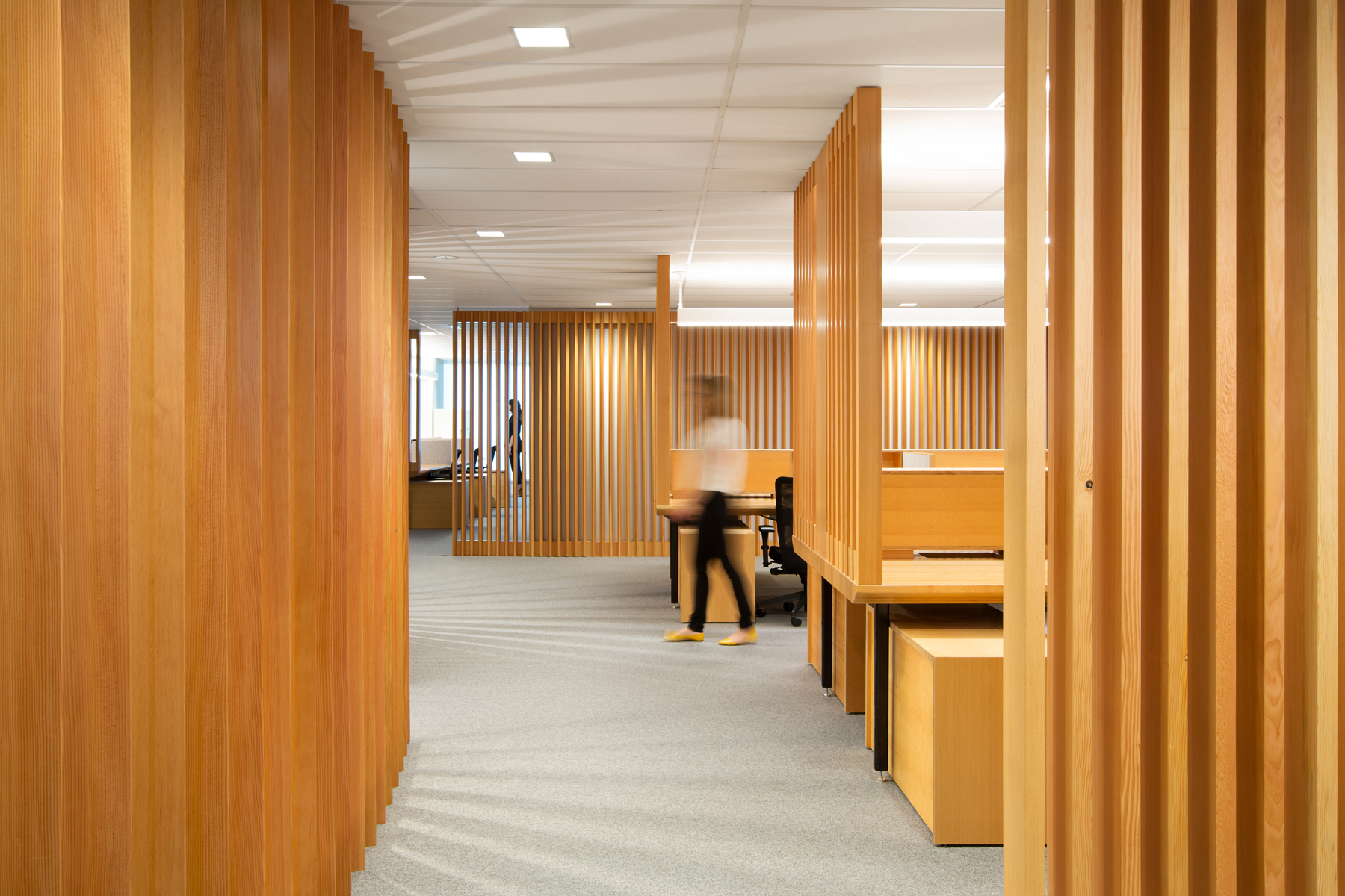 T3 Minneapolis by MGA | MICHAEL GREEN ARCHITECTURE - Architizer