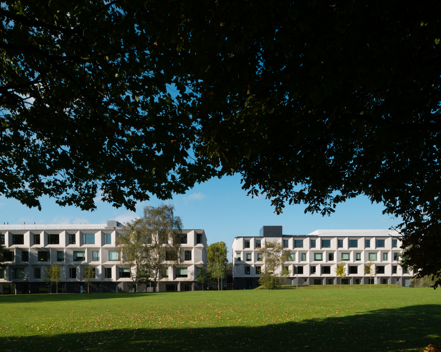 Burntwood School by AHMM with Morag Myerscough by Jim Stephenson ...