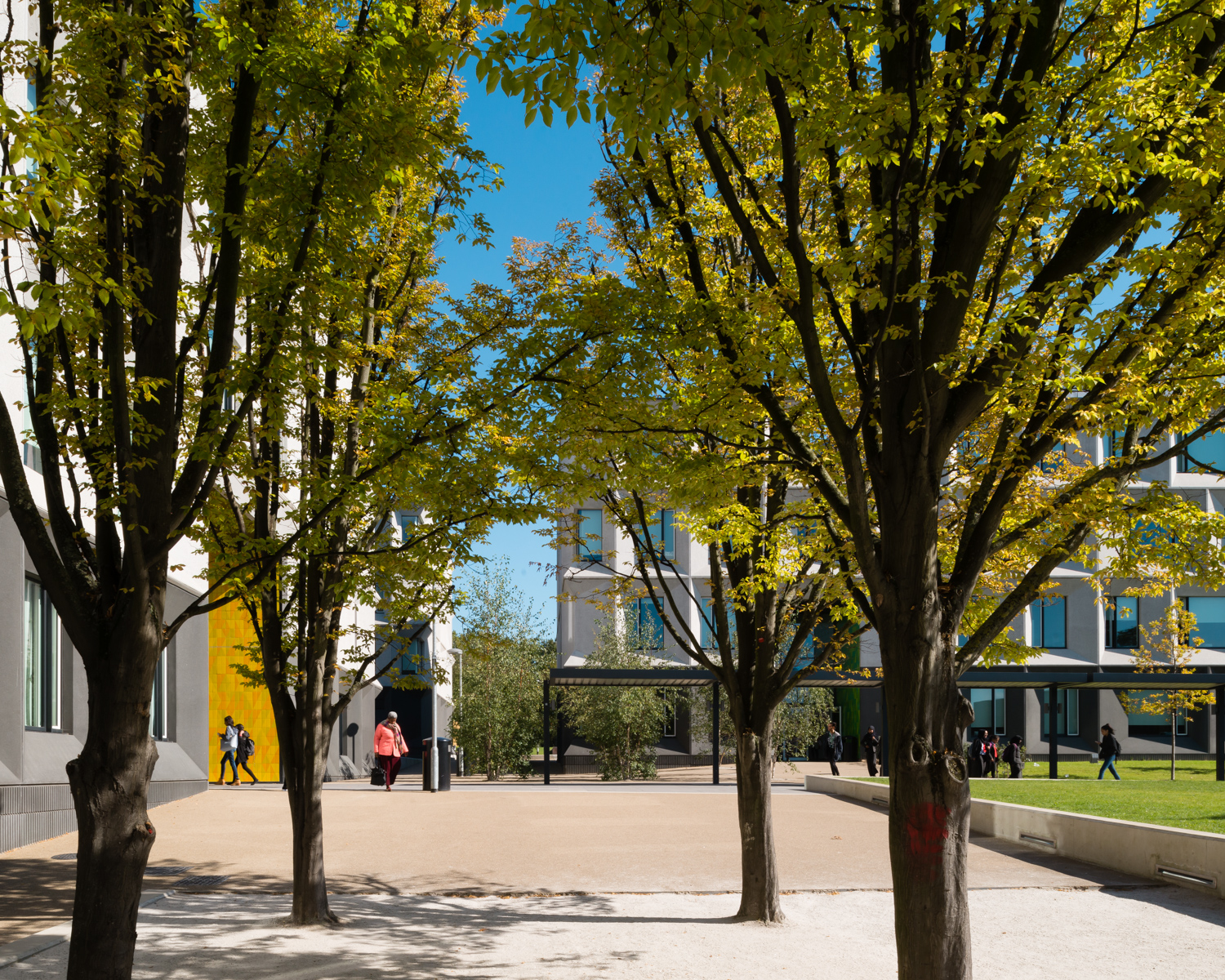 Burntwood School by AHMM with Morag Myerscough by Jim Stephenson ...