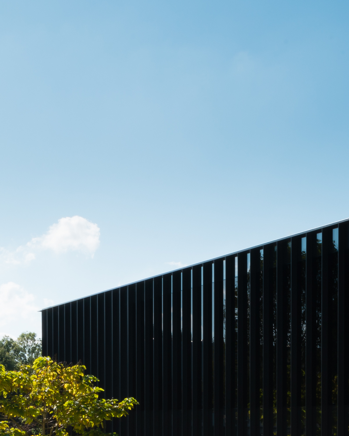 Burntwood School by AHMM with Morag Myerscough by Jim Stephenson ...