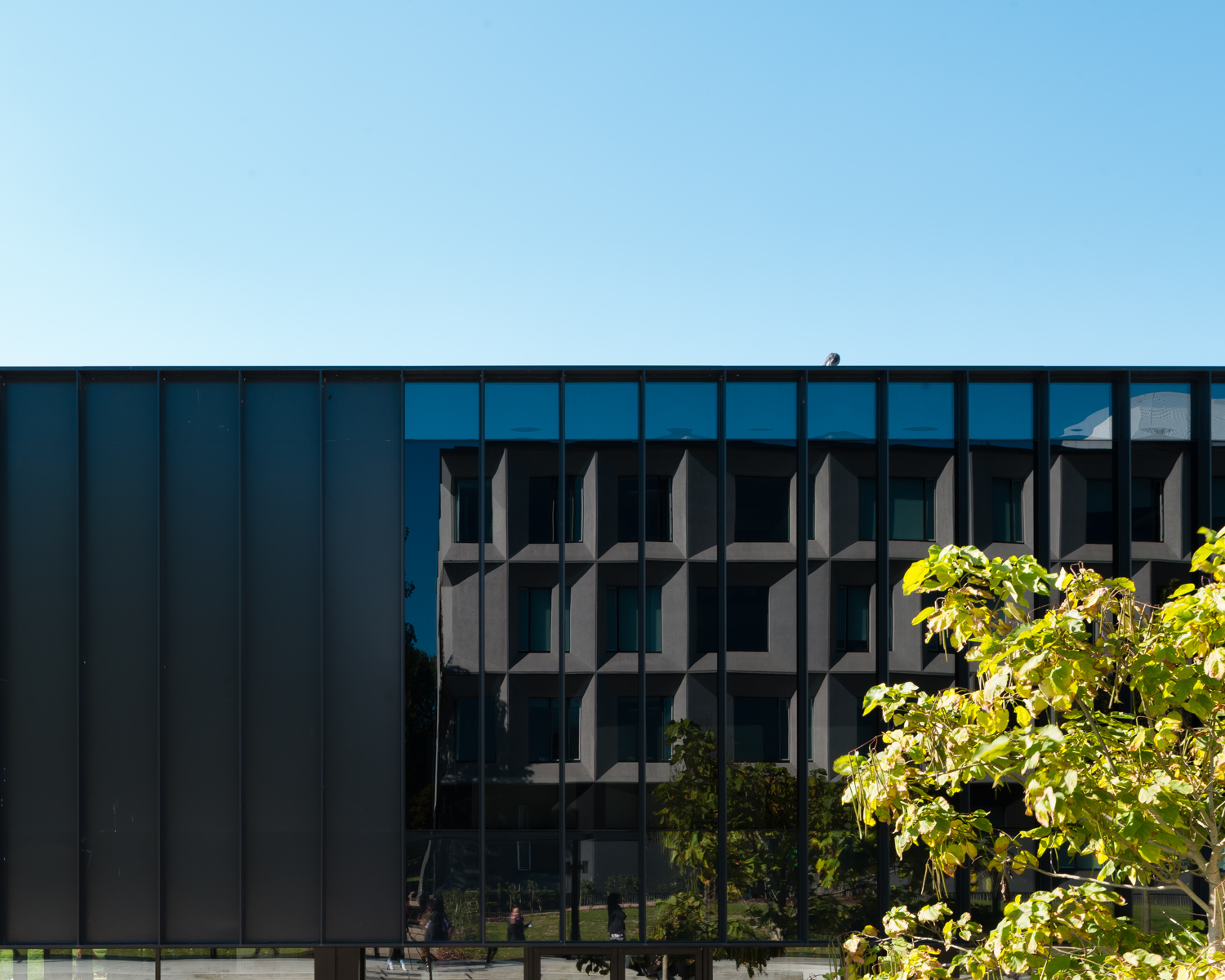 Burntwood School by AHMM with Morag Myerscough by Jim Stephenson ...