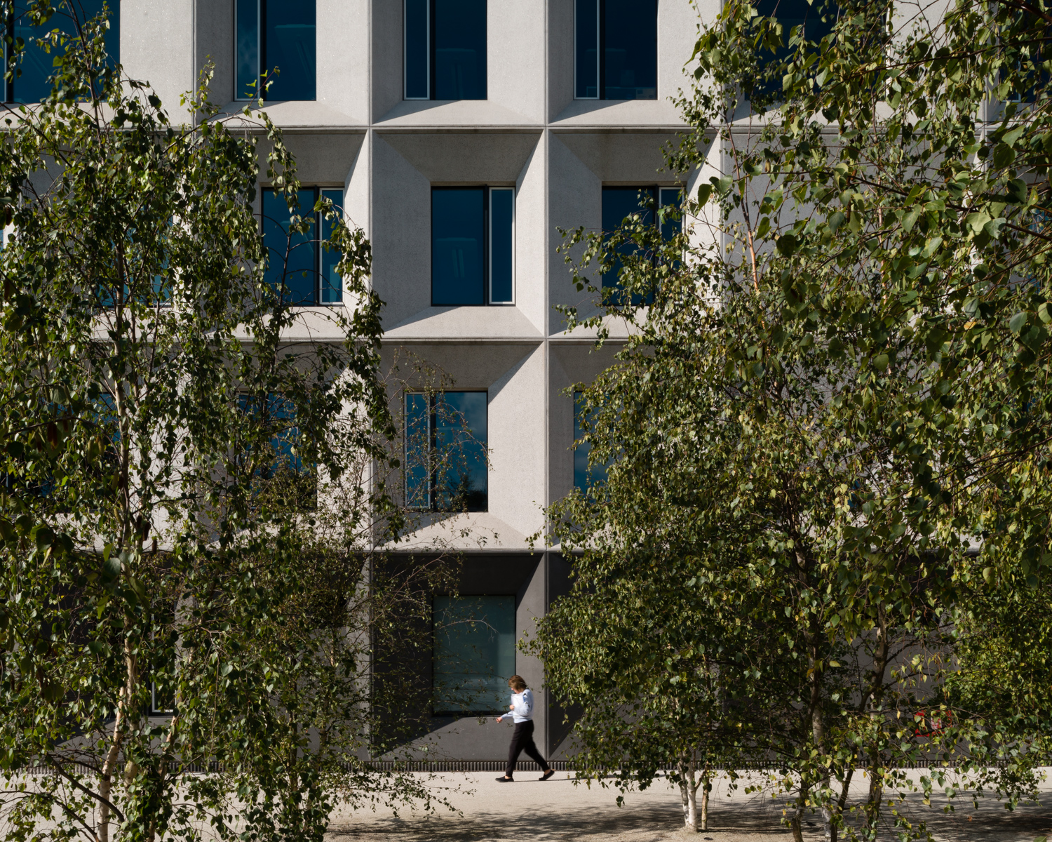Burntwood School by AHMM with Morag Myerscough by Jim Stephenson ...