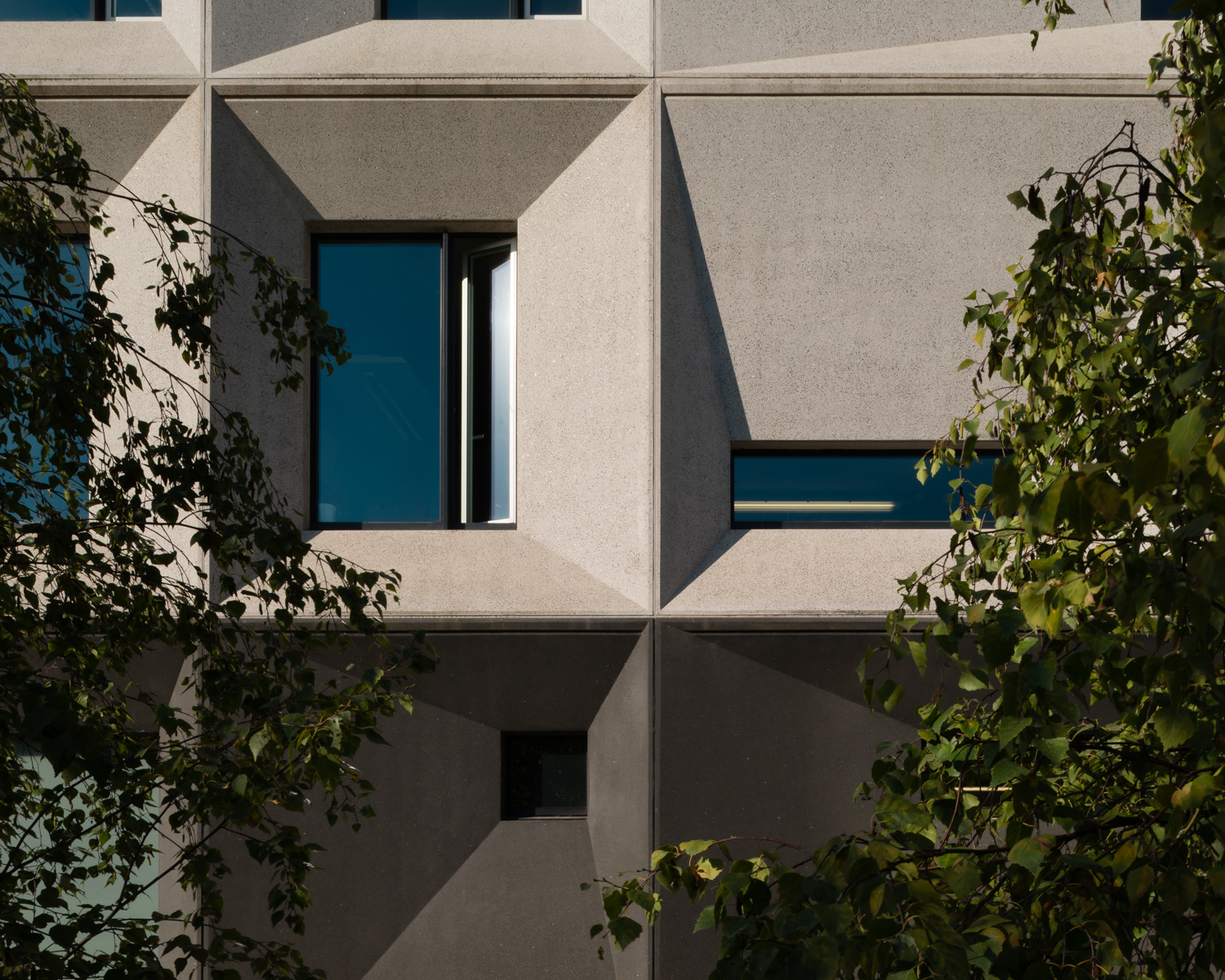 Burntwood School by AHMM with Morag Myerscough by Jim Stephenson ...