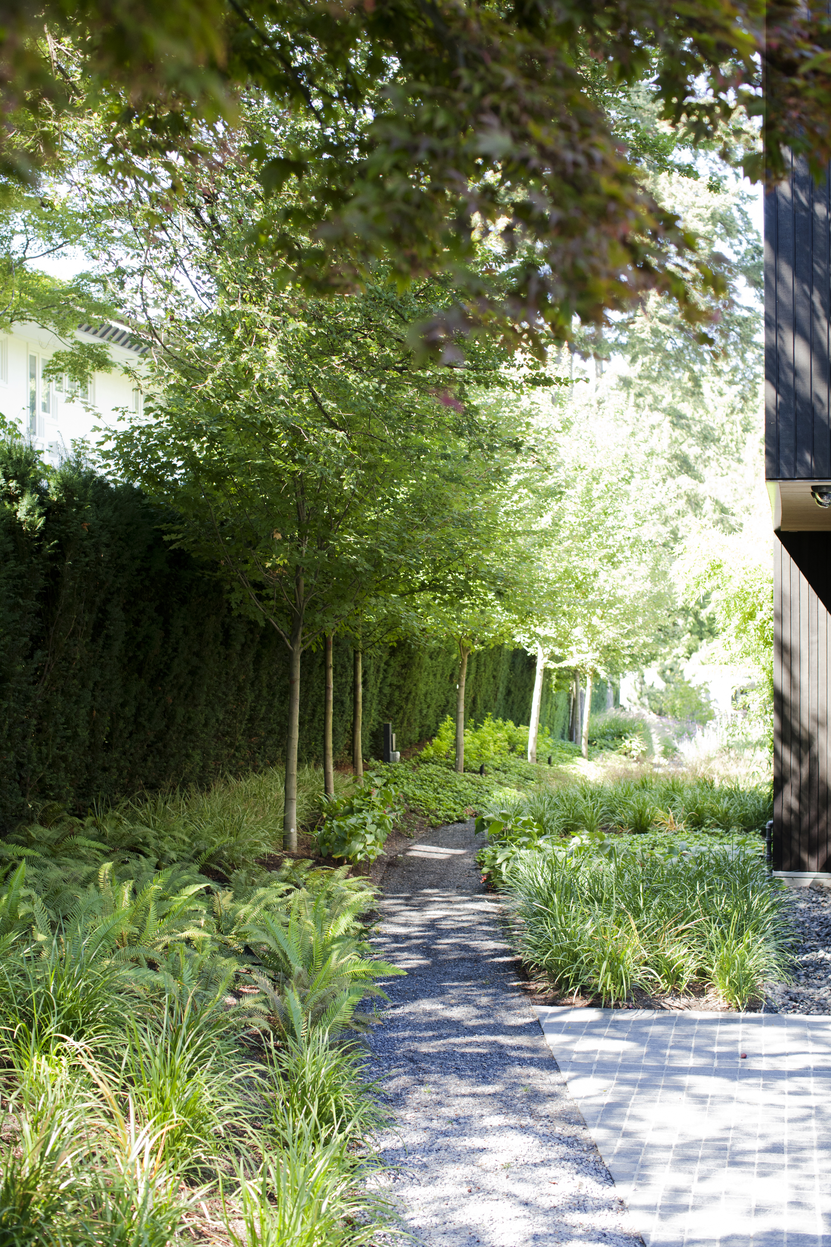 Andrews Residence by considered design inc - Architizer