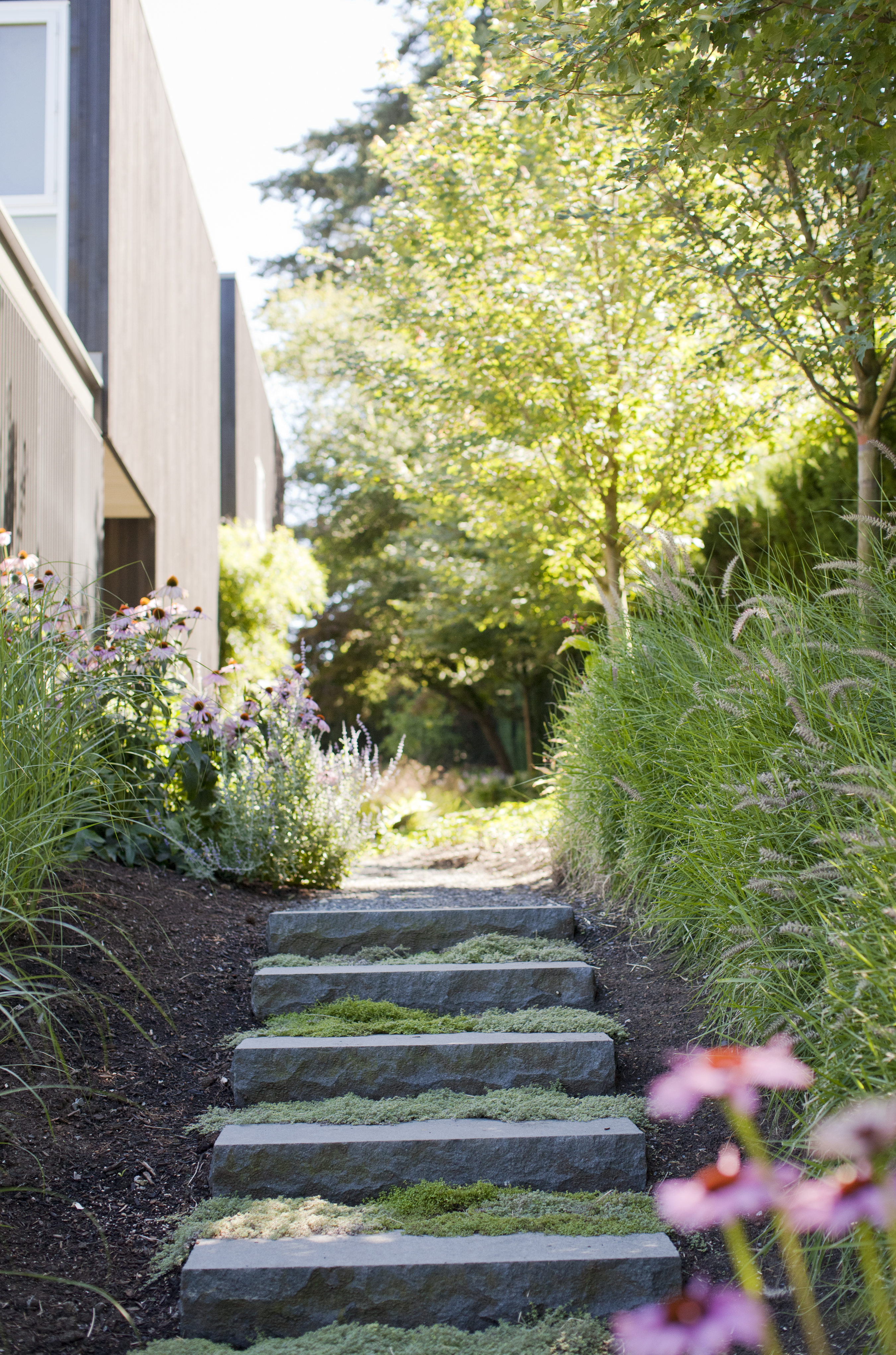 Andrews Residence by considered design inc - Architizer