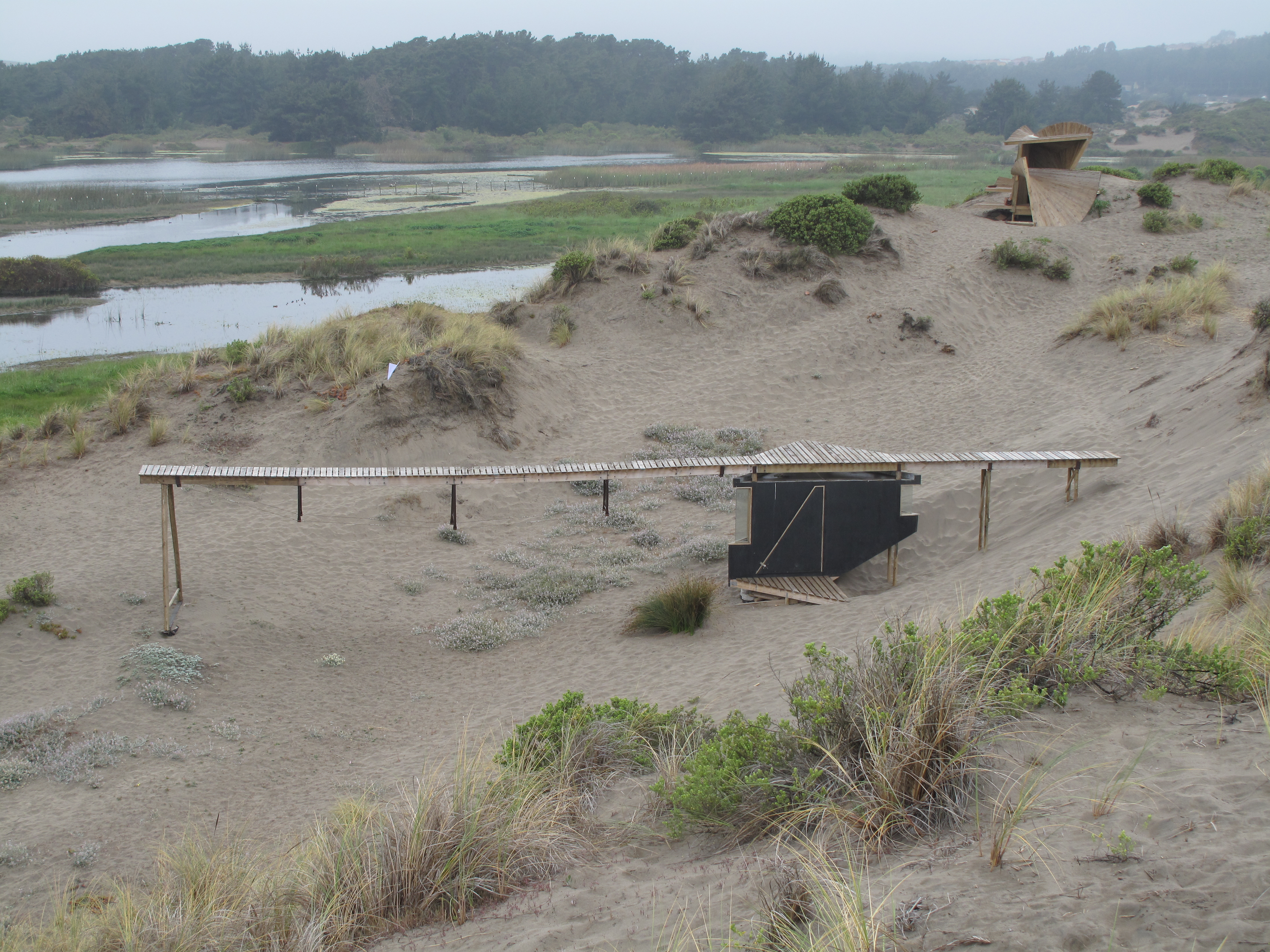 Walk the Line by Scarcity and Creativity Studio - Architizer