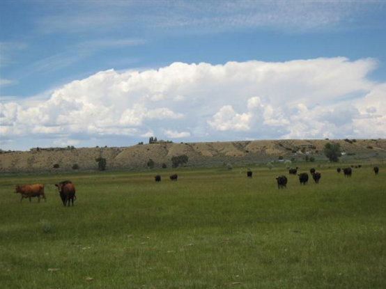 La Senisa by Coldwell Banker Lota Taos - Architizer