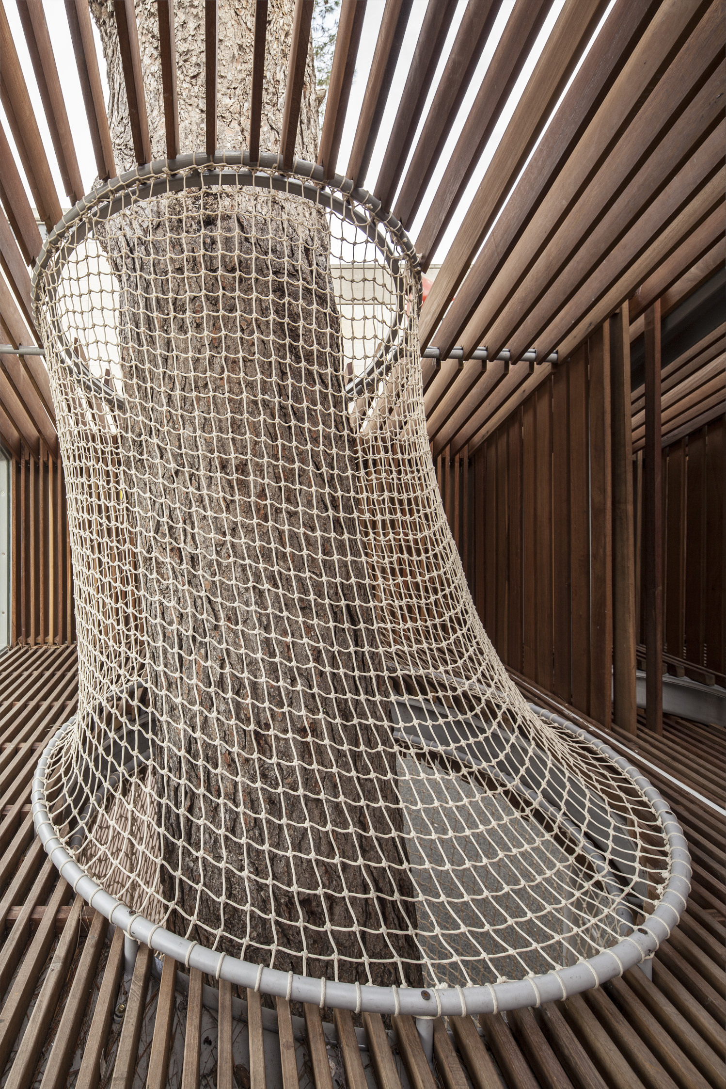 IMJ Tree House by Ifat Finkelman & Deborah Warschawski - Architizer