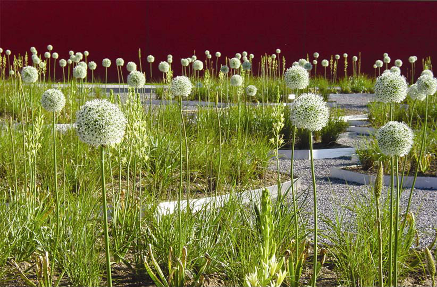 National Garden Show, BUGA 2005, Munich - Architizer