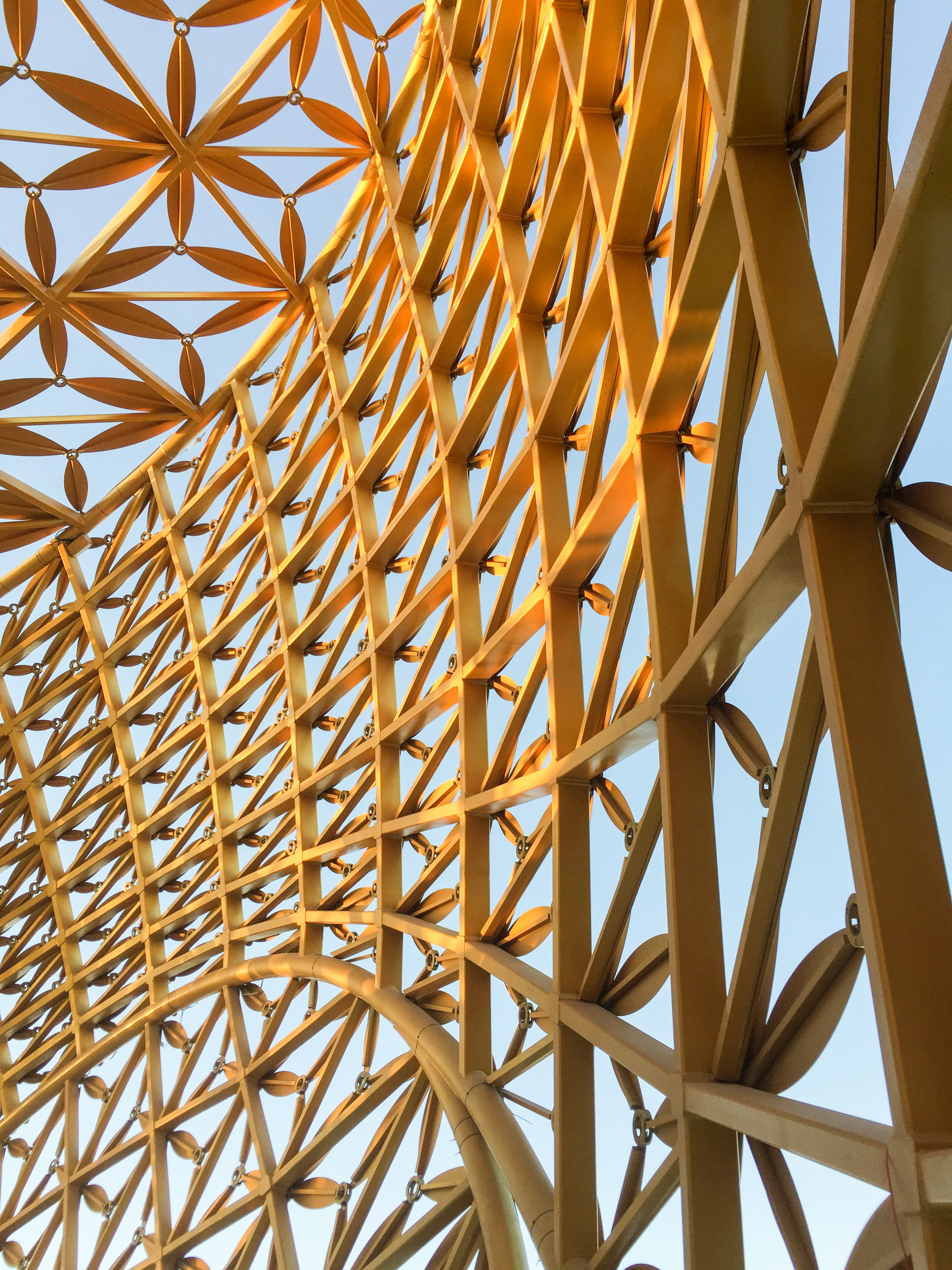 Butterfly Pavilion by 3deluxe - Architizer