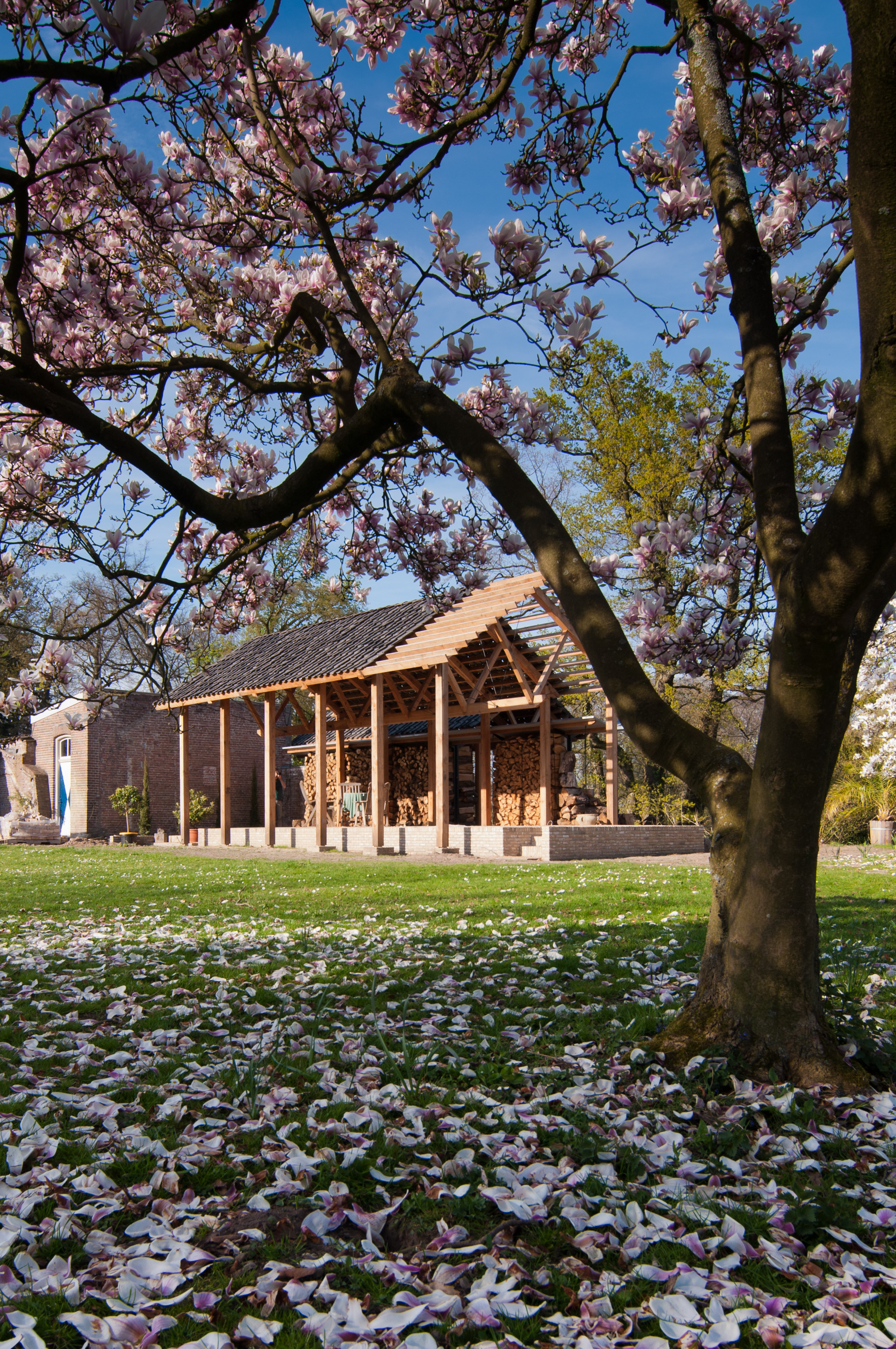 timber pavilion by deBOSSA - Architizer