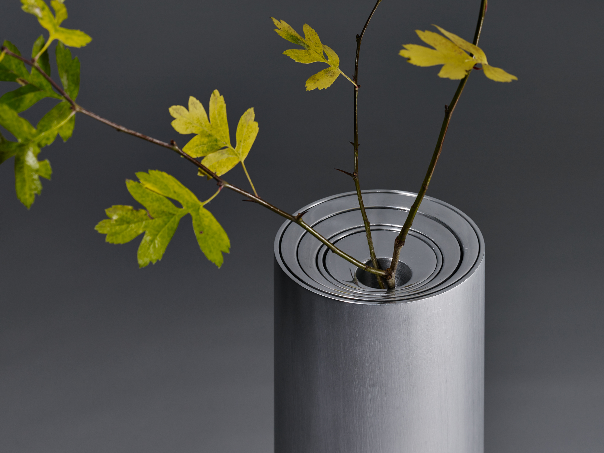Cylindrical Vase by Alessandro Isola Ltd. - Architizer