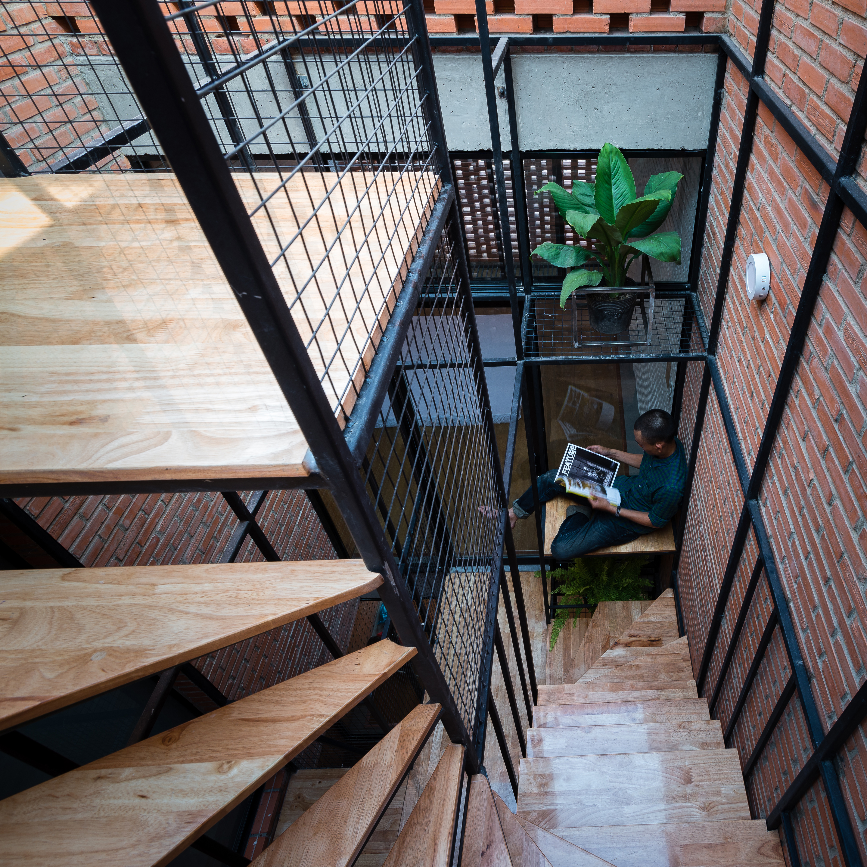 WASP HOUSE by TROPICAL SPACE - Architizer