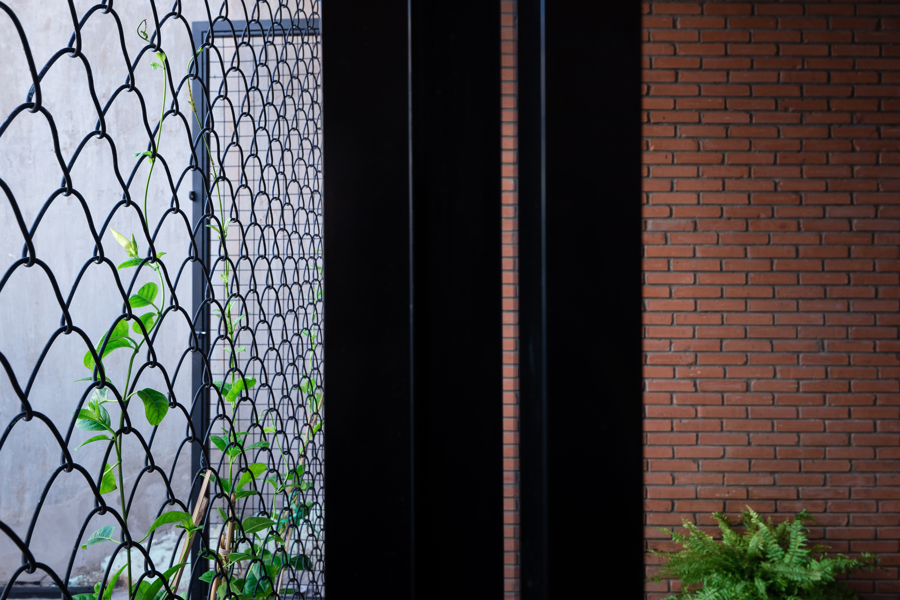 WASP HOUSE by TROPICAL SPACE - Architizer
