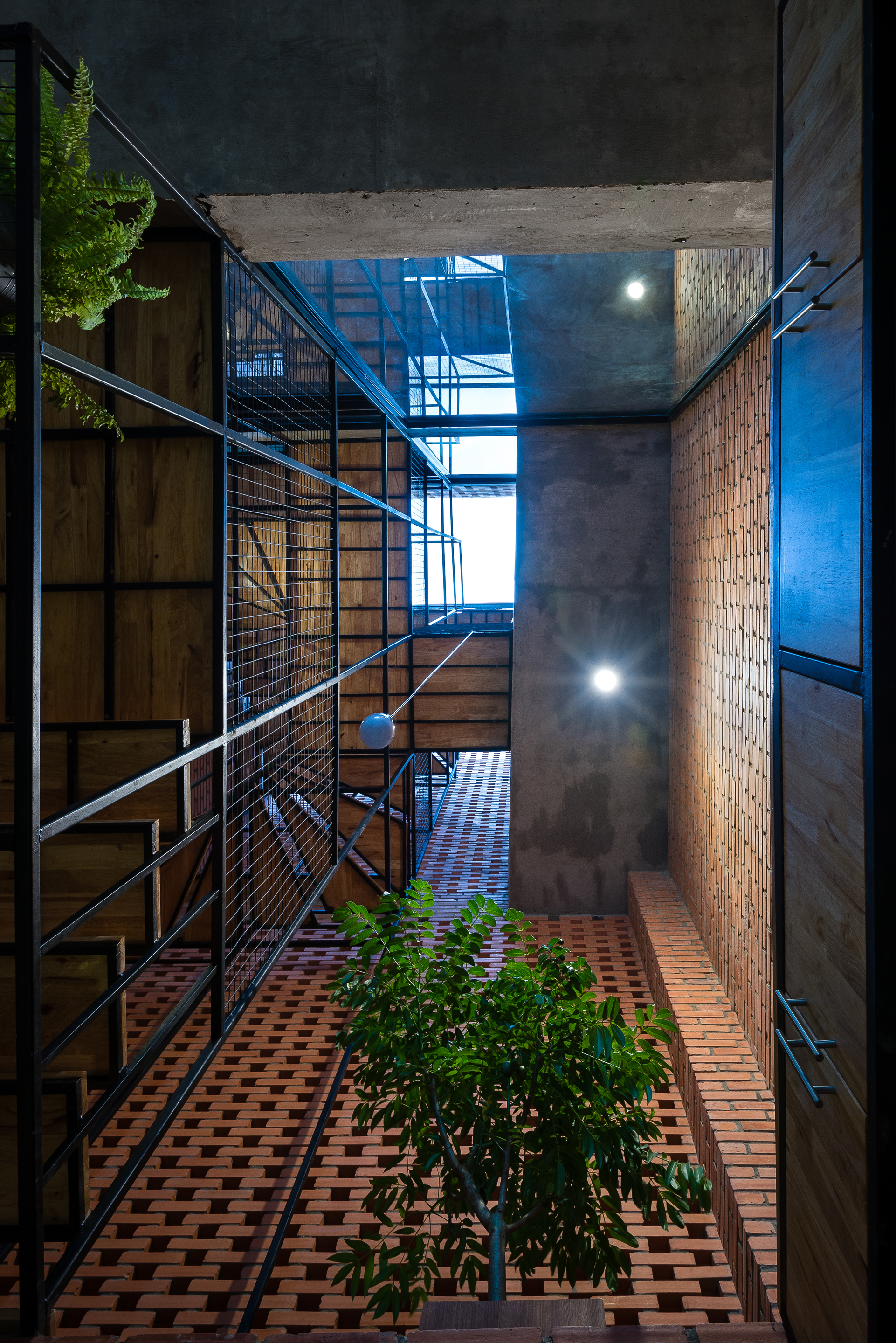 WASP HOUSE by TROPICAL SPACE - Architizer