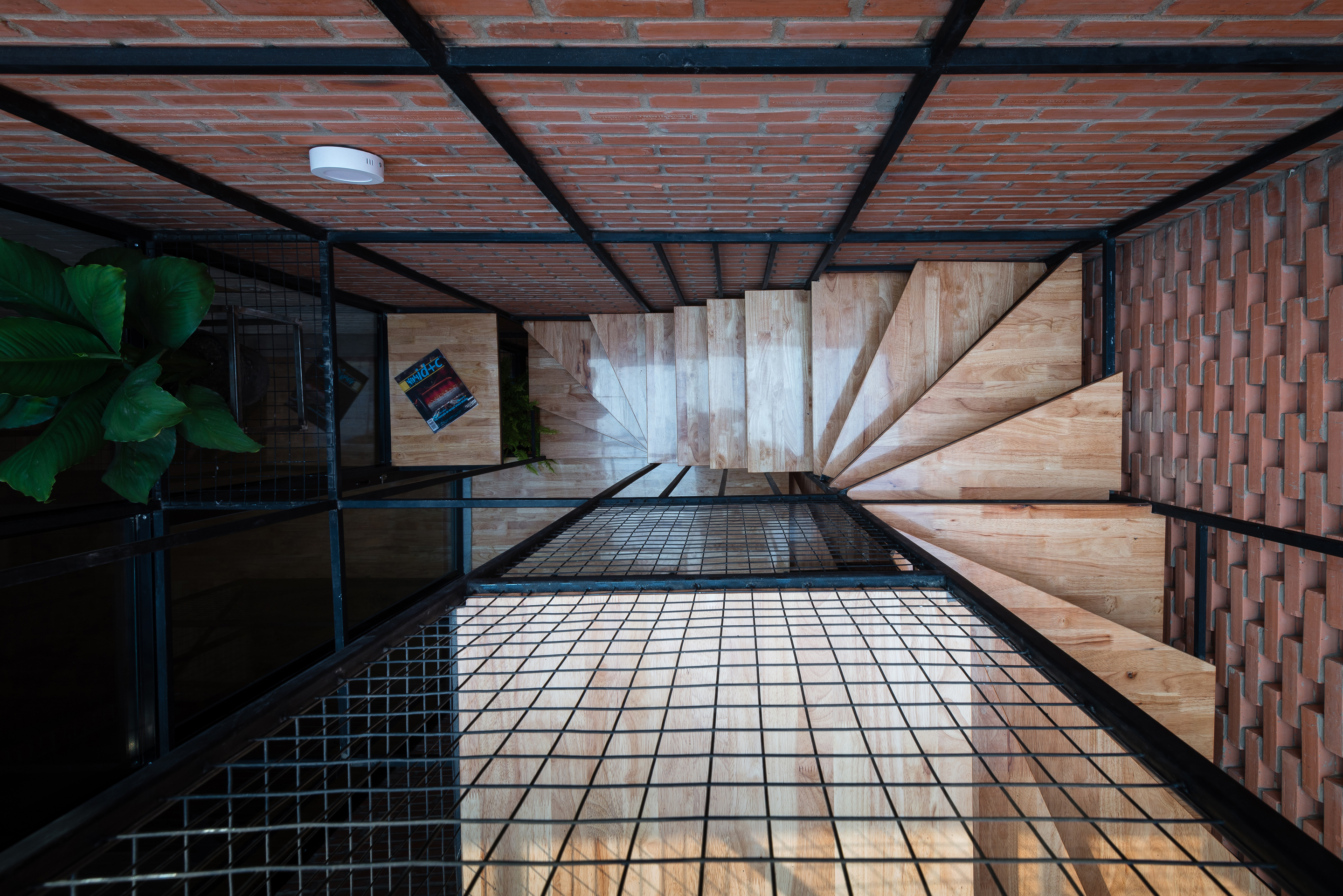 WASP HOUSE by TROPICAL SPACE - Architizer