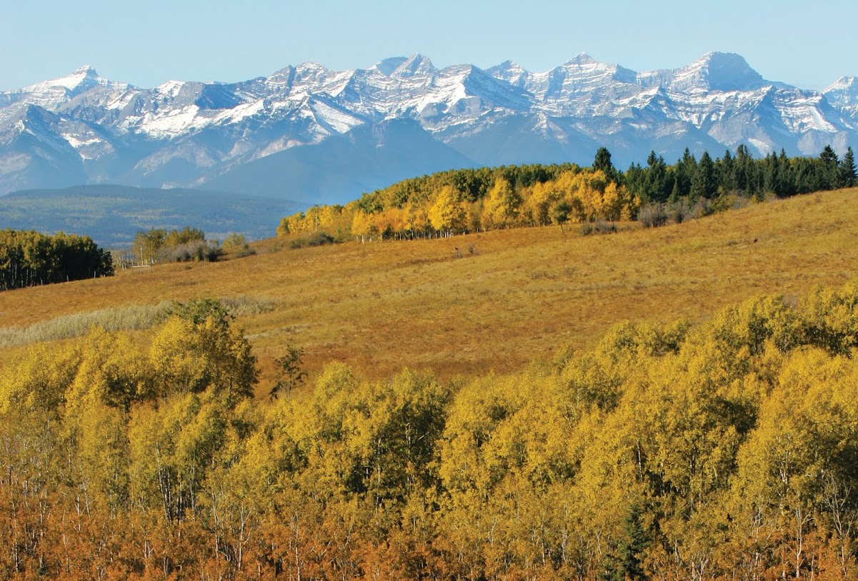 Carraig Ridge by Saunders Architecture - Architizer