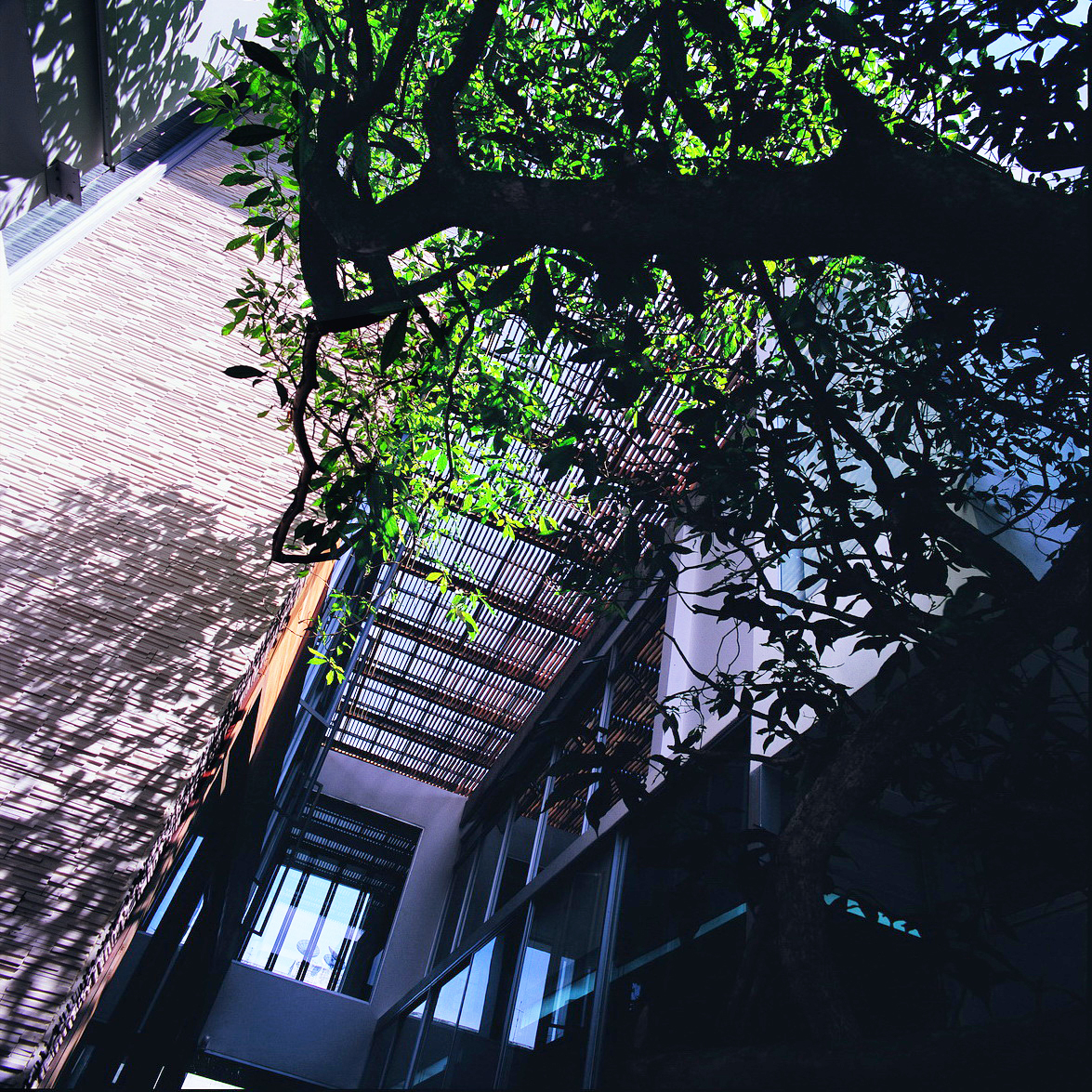 dindang house by Archimontage Design Fields Sophisticated - Architizer