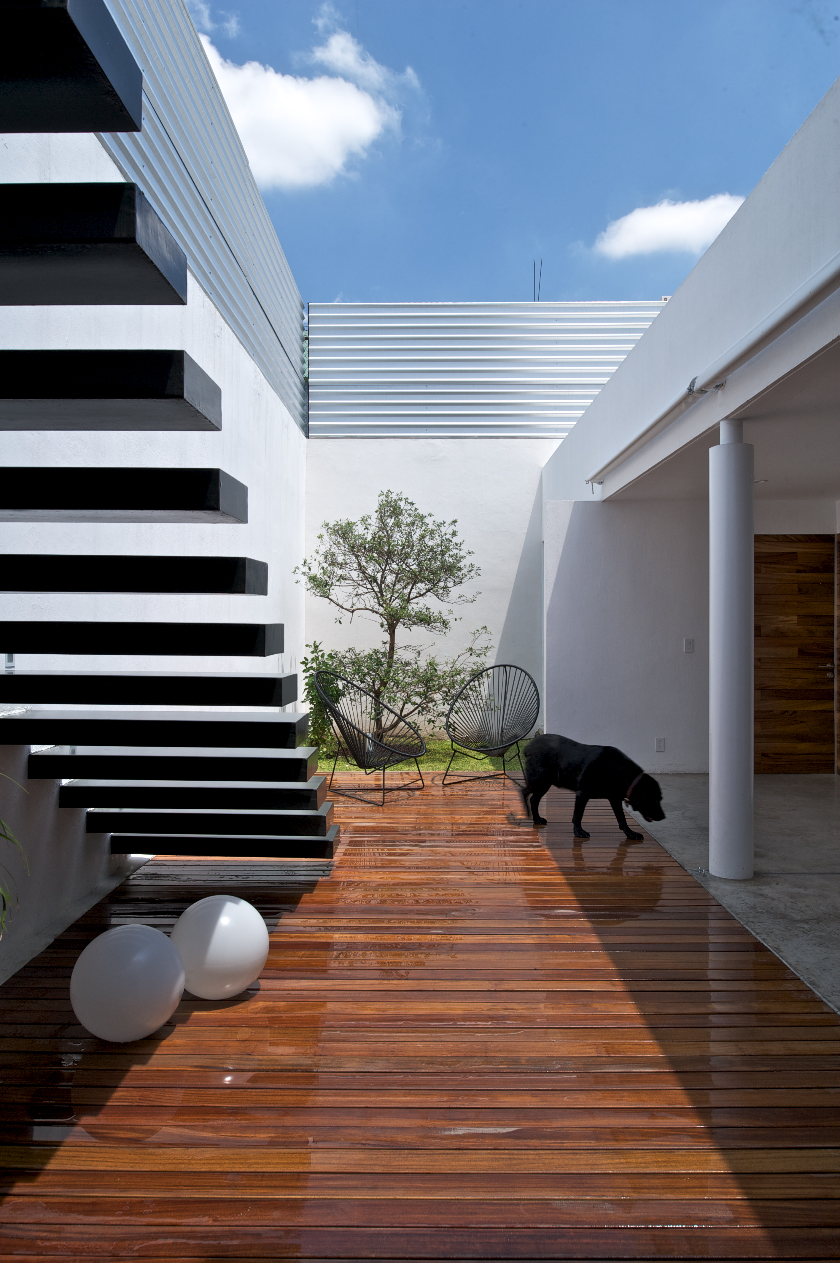 RCG HOUSE by S + Diseño - Architizer