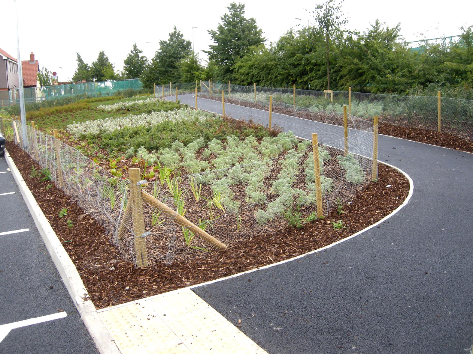 Aldi, Witham by Davis Landscape Architecture - Architizer