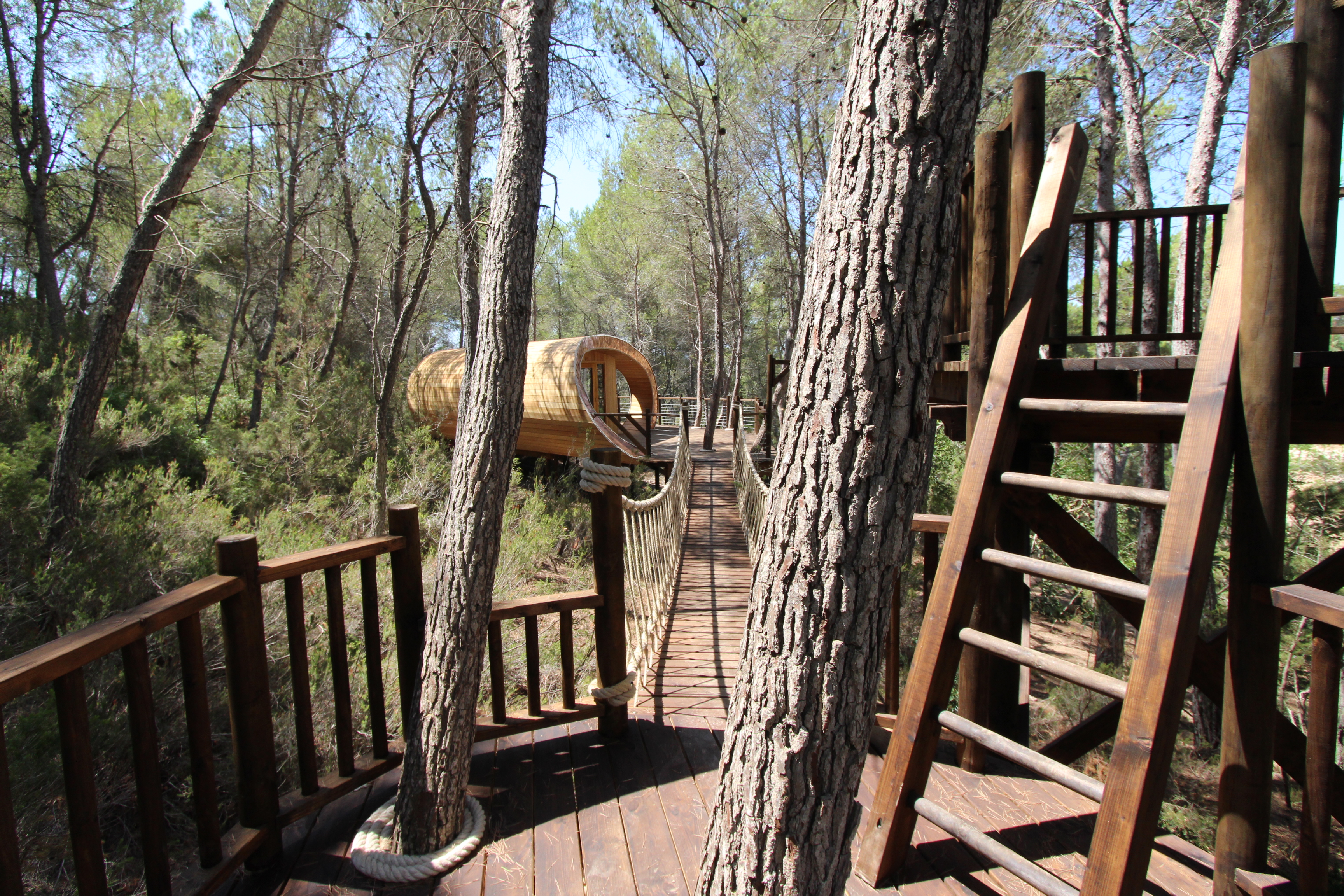The Fibonacci Treehouse by Blue Forest (UK) Ltd - Treehouses - Architizer