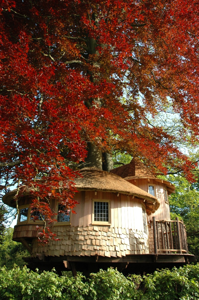 Fairy Tale Castle Treehouse by Blue Forest (UK) Ltd - Treehouses ...
