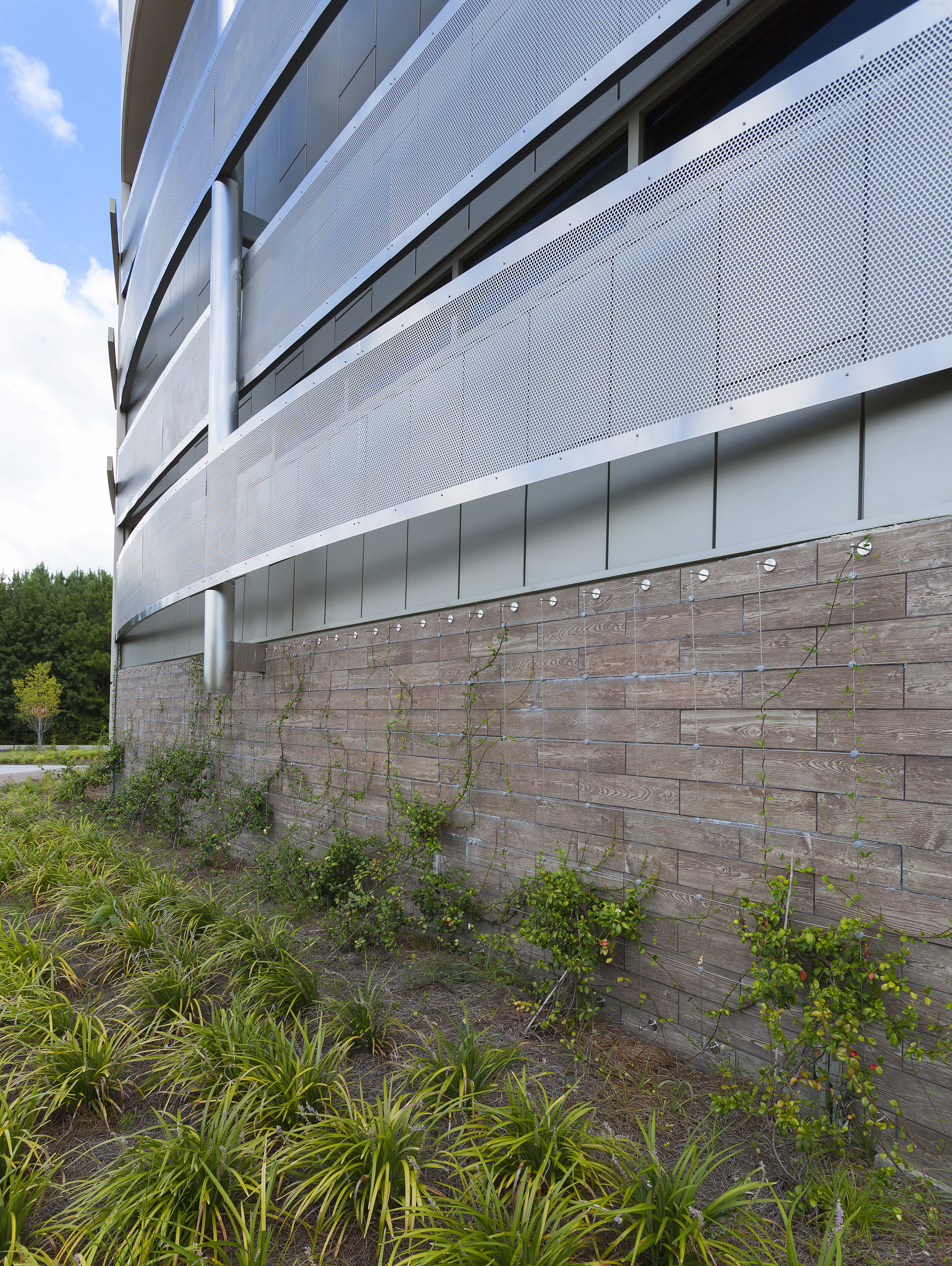 Trident Technical College Nursing and Science Building by LS3P - Architizer