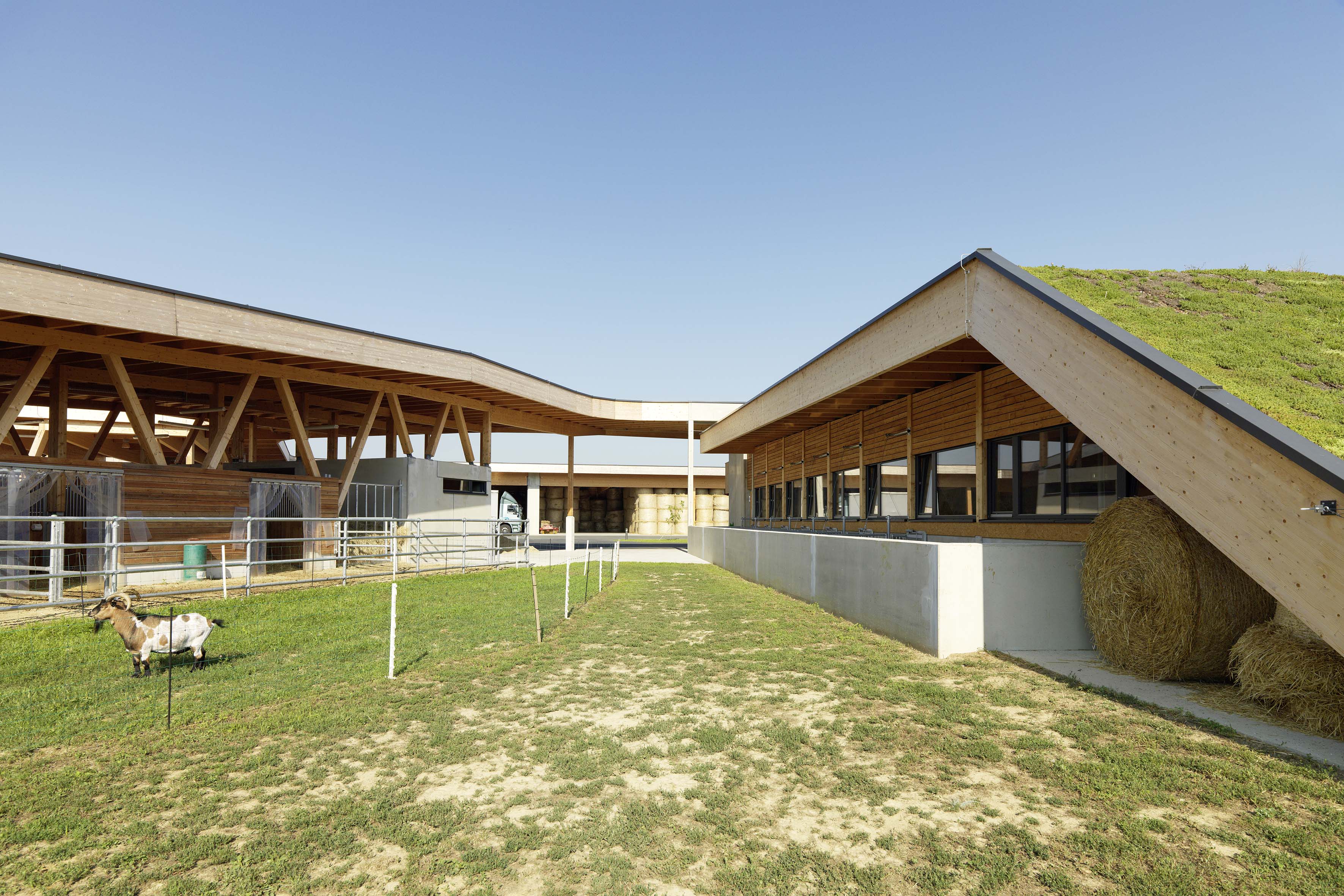 Güssing Agriculture School - Architizer