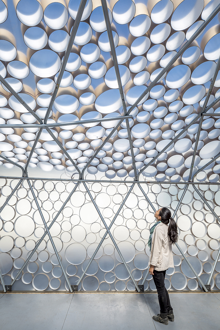 Bi(h)OME by kevin daly Architects - Architizer