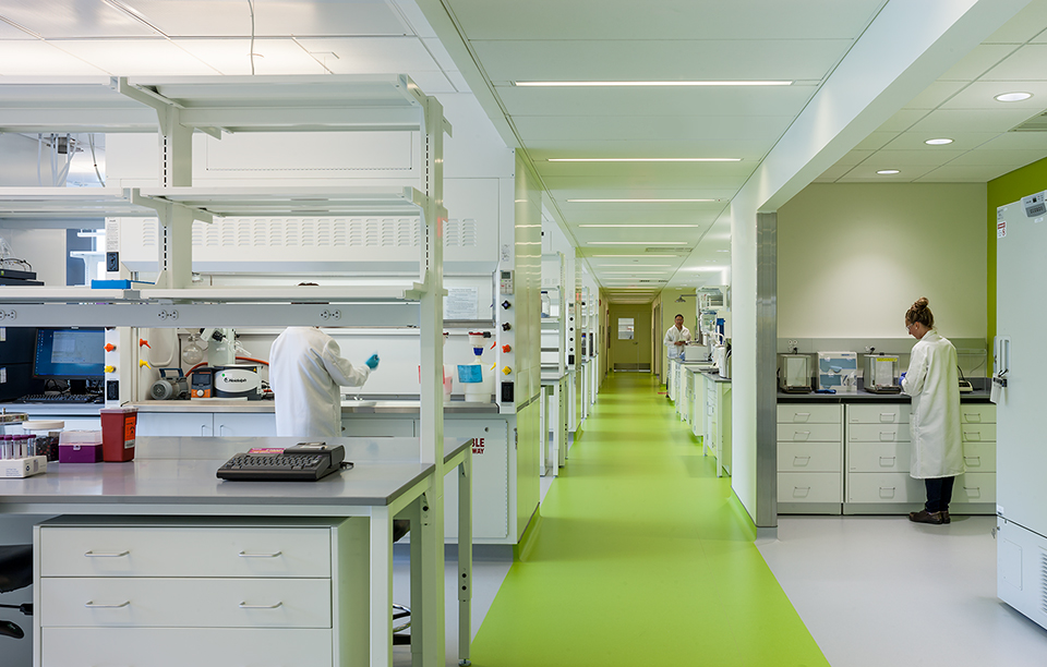 Research and Development Center Fit-Out by PAYETTE - Architizer