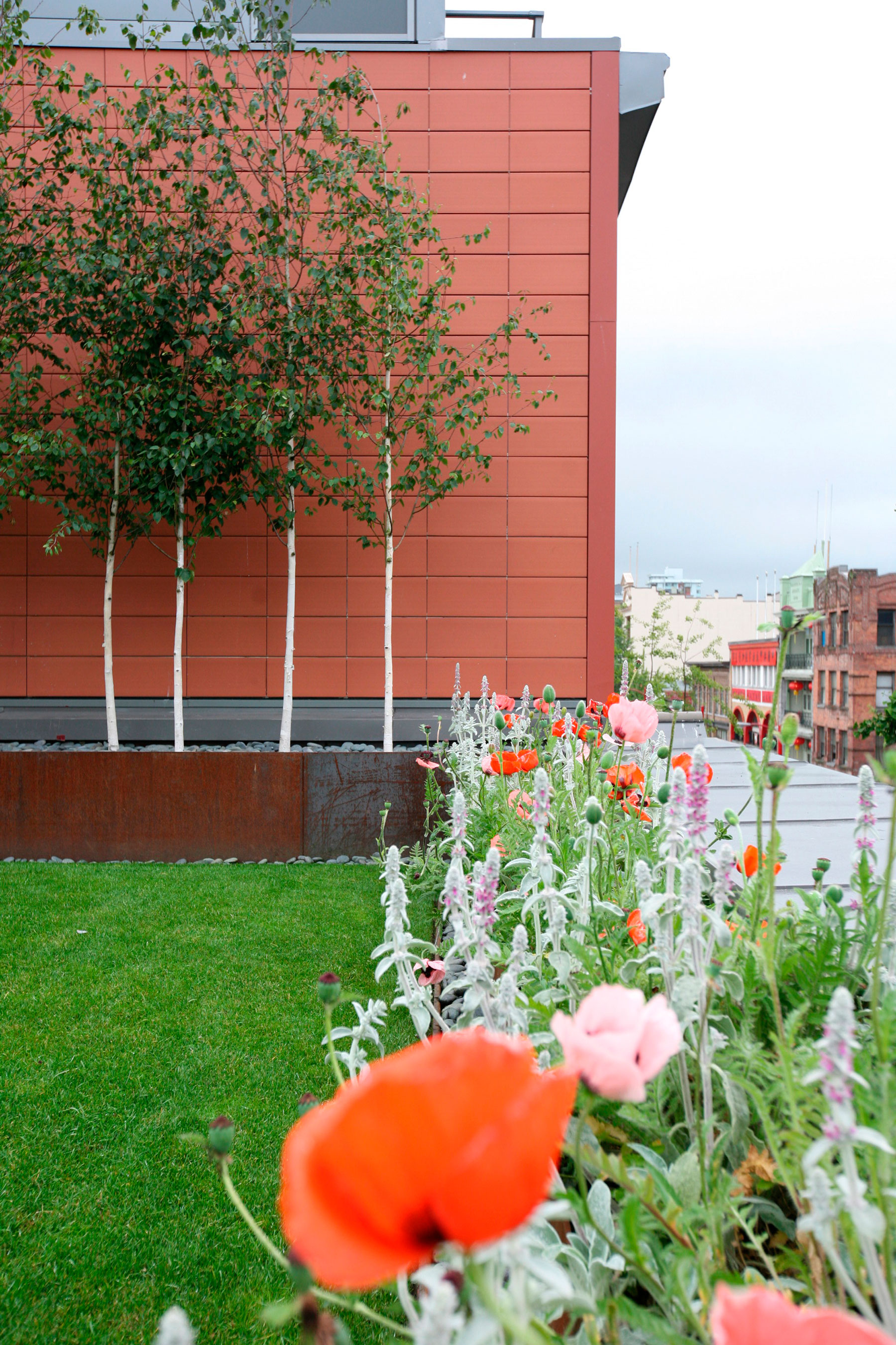 Rennie Art Gallery by considered design inc - Architizer