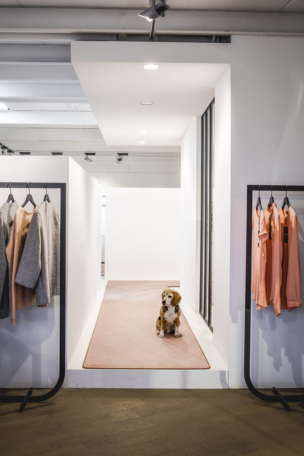 New Market Showroom by Framework Studio - Architizer