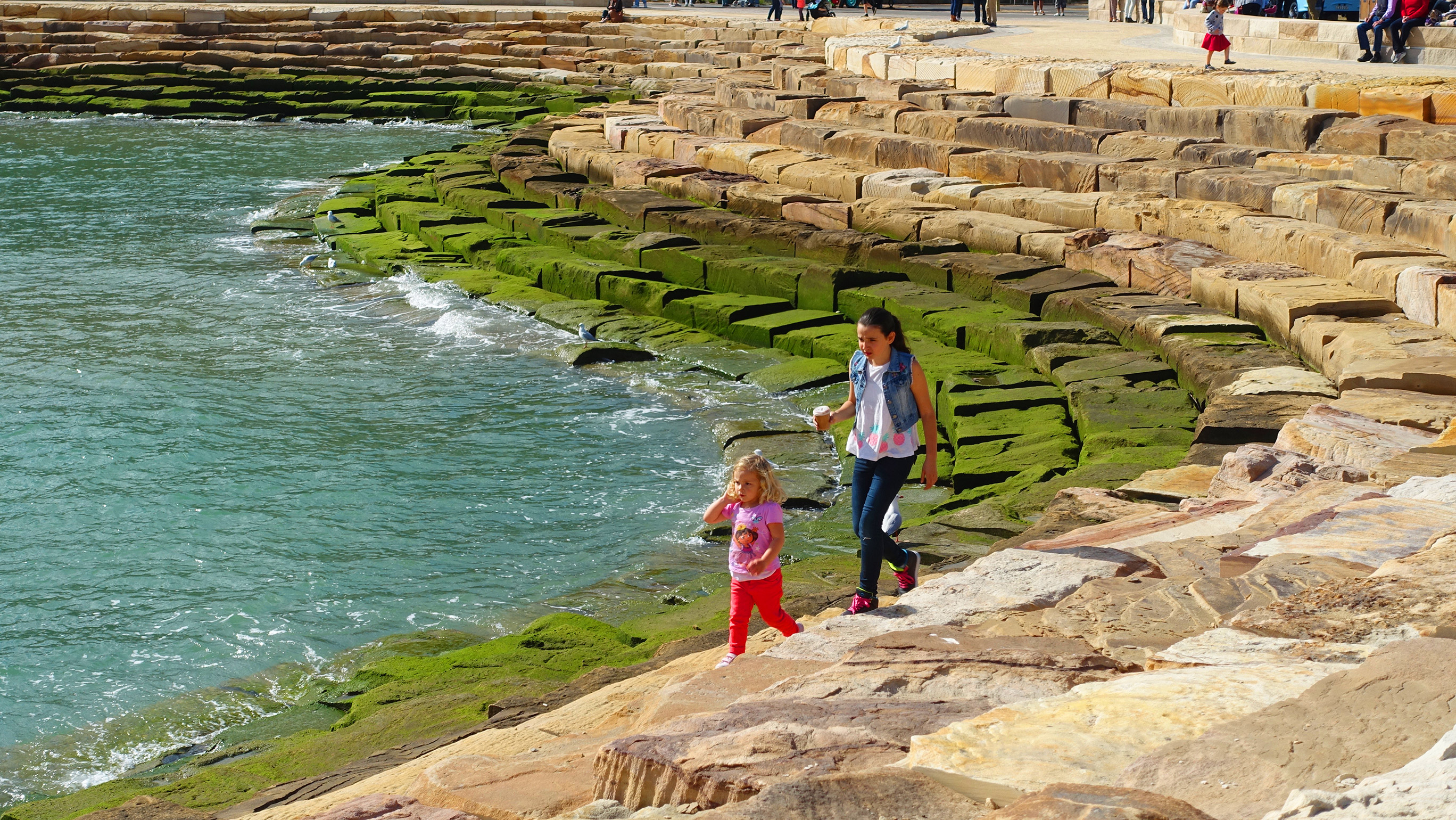 Barangaroo Reserve by PWP Landscape Architecture - Architizer