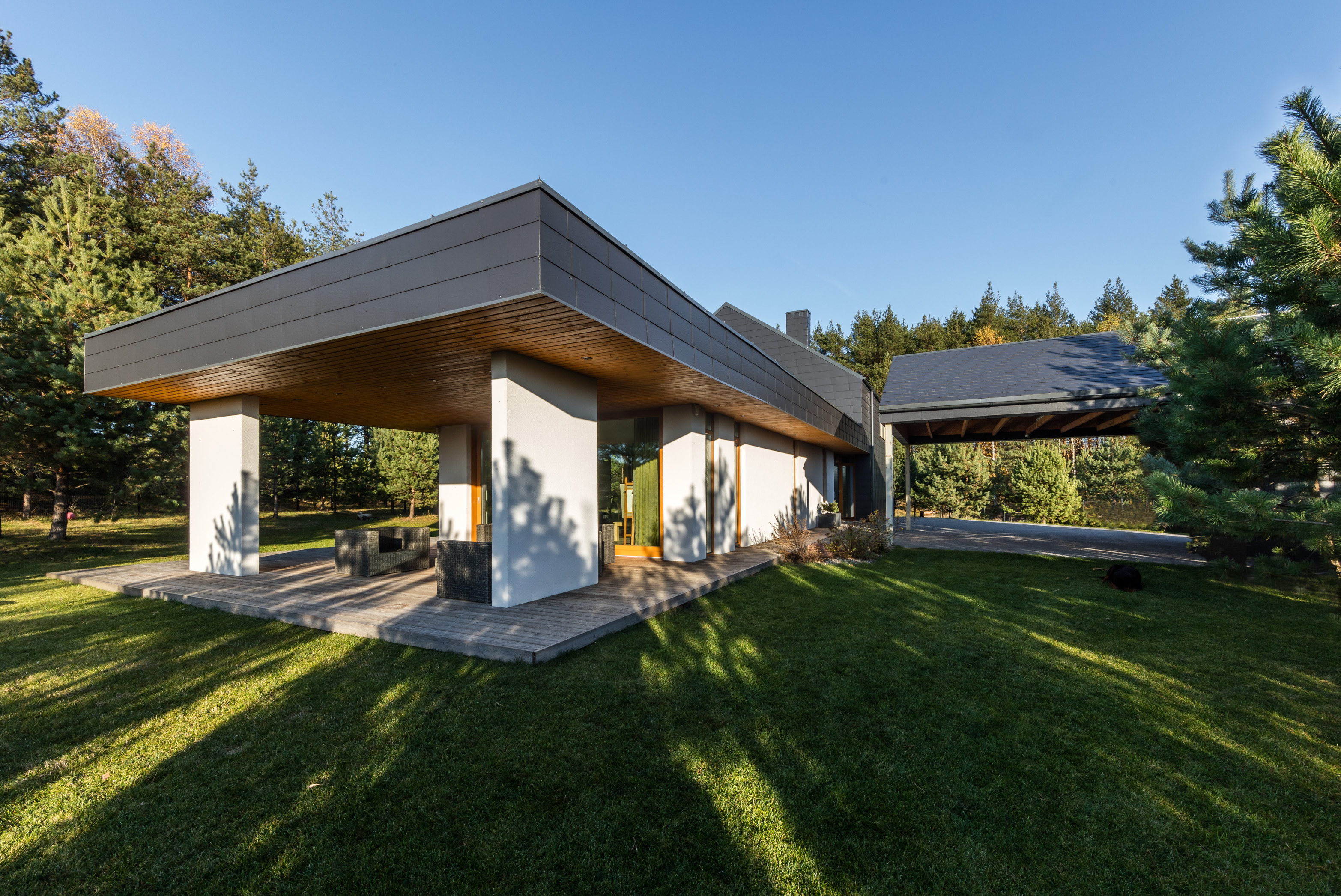 Tree trunk by Studija lape - Architizer