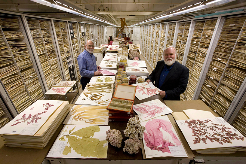 The Art of Storage: Take a Peek Inside the Smithsonian Archives ...