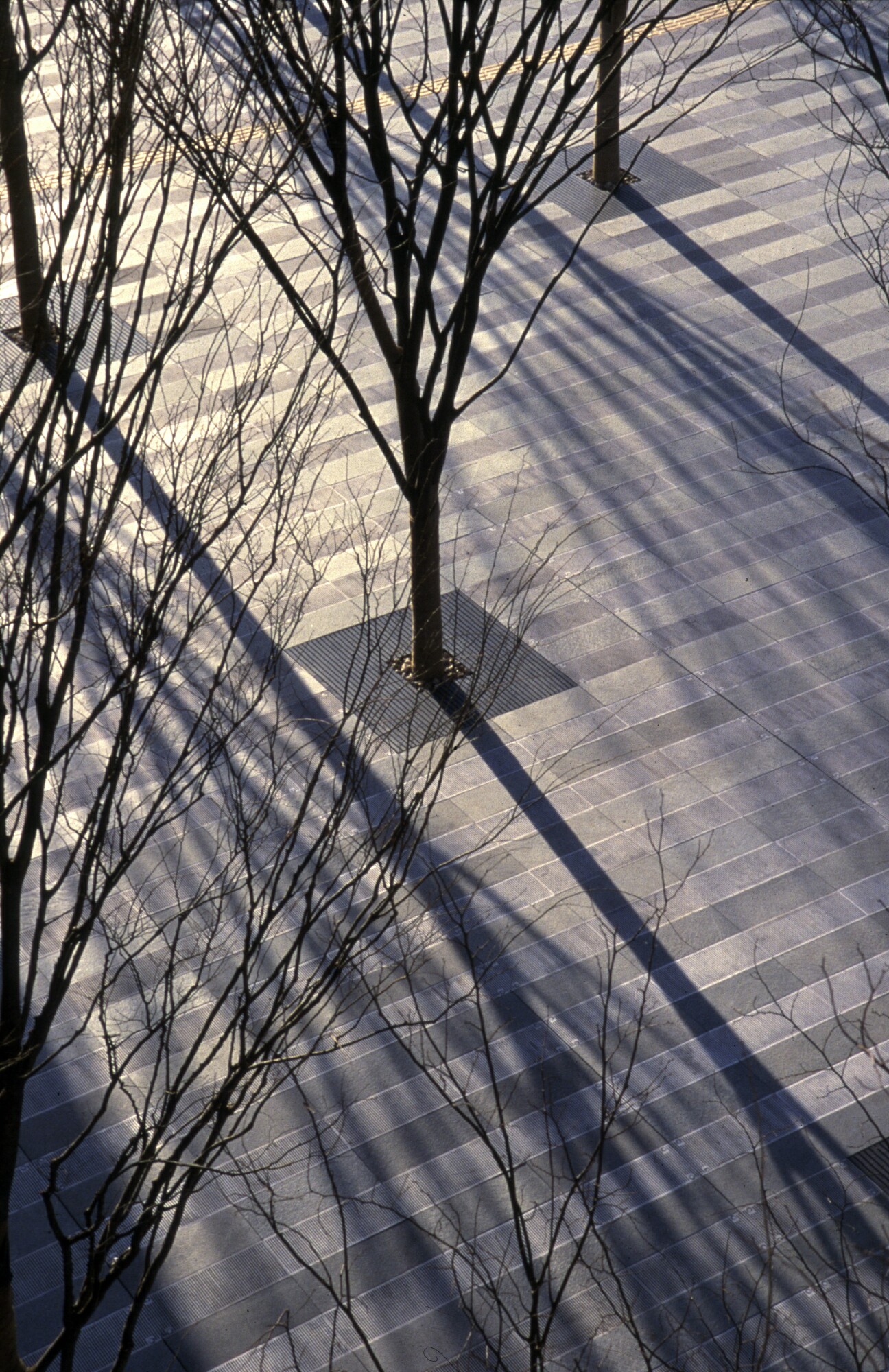 Idea 1564139: Saitama "Sky Forest" Shintoshin Plaza by PWP Landscape ...