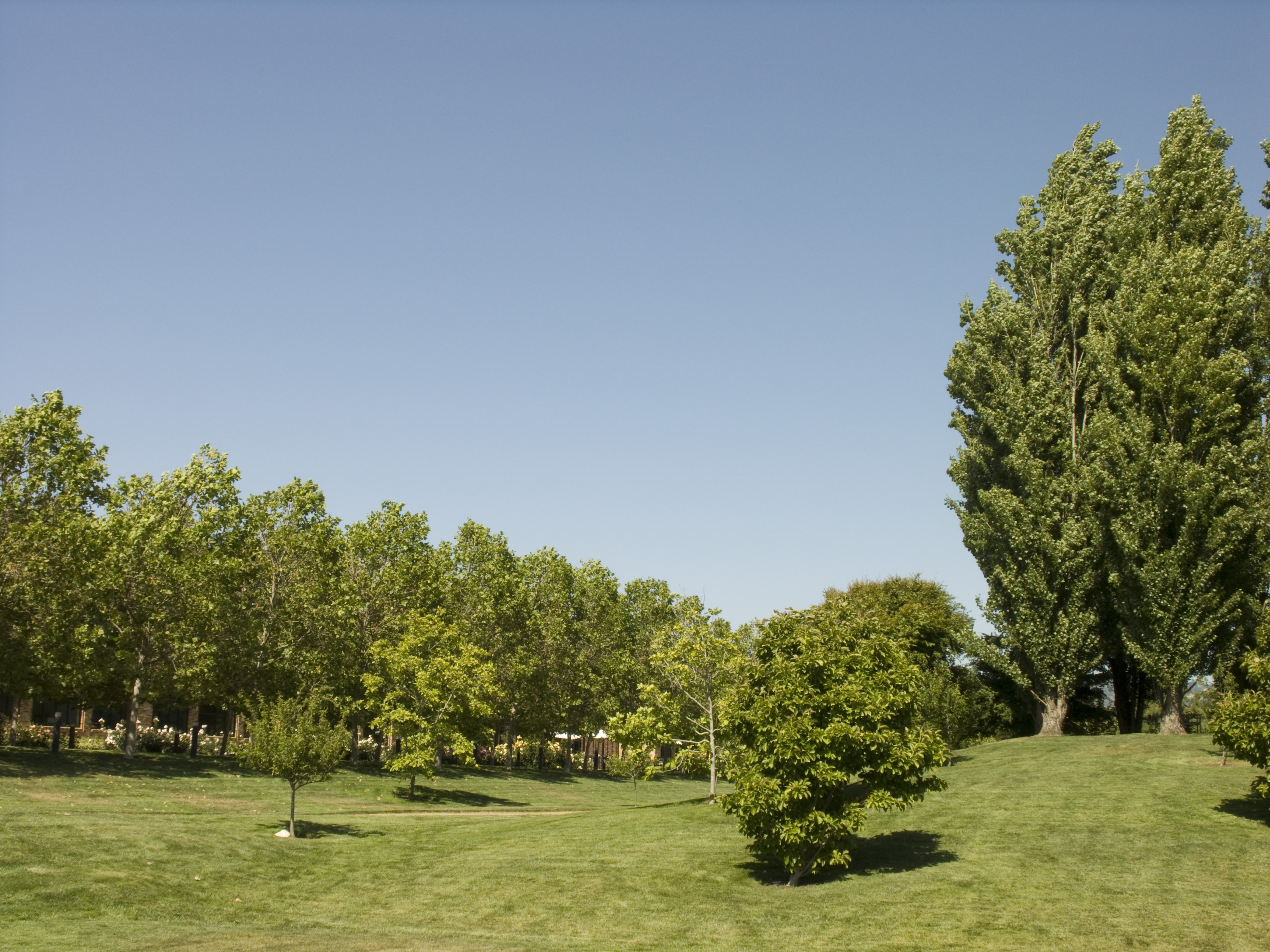 Pixar Animation Studios by PWP Landscape Architecture - Architizer