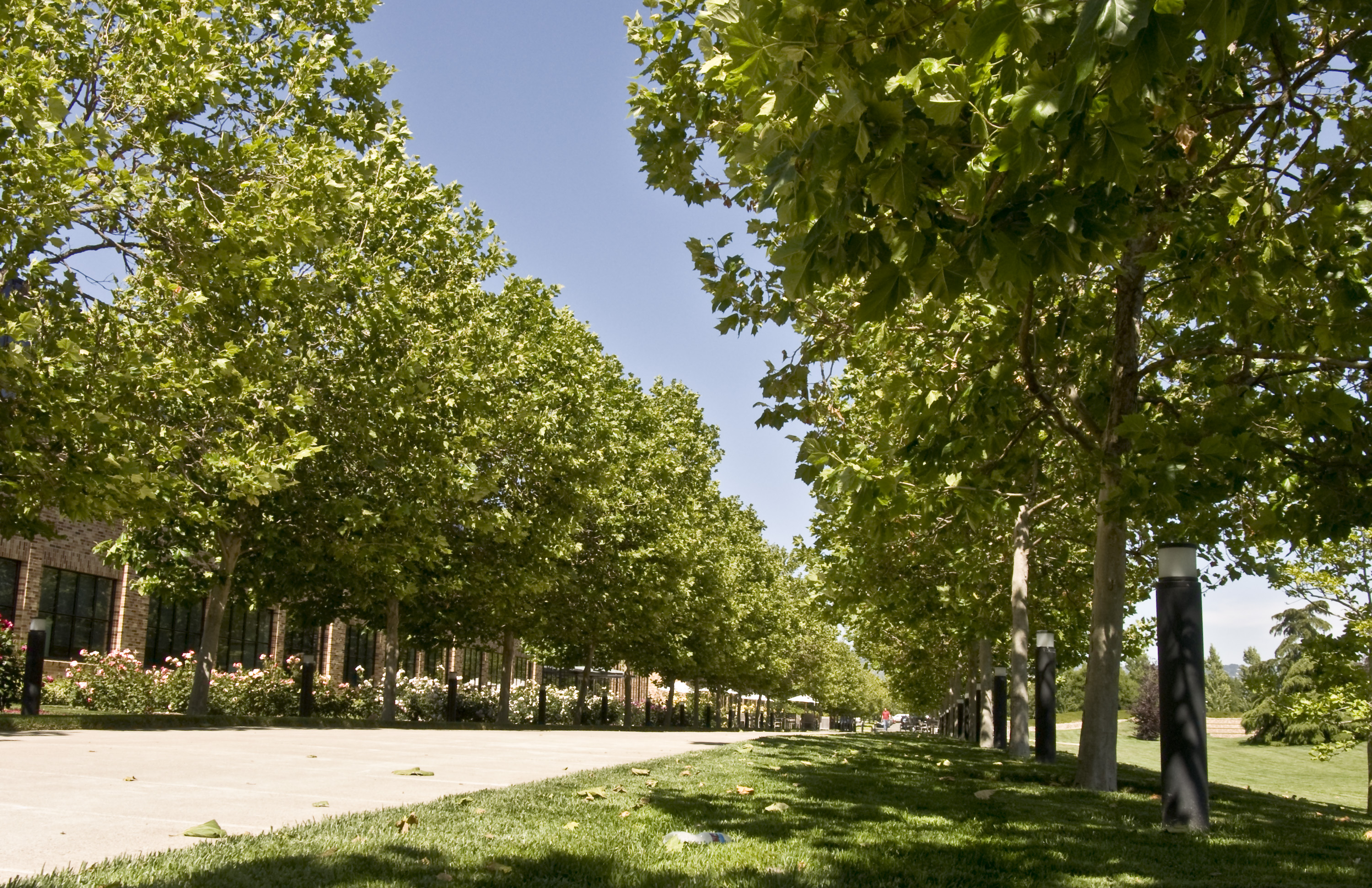 Pixar Animation Studios by PWP Landscape Architecture - Architizer