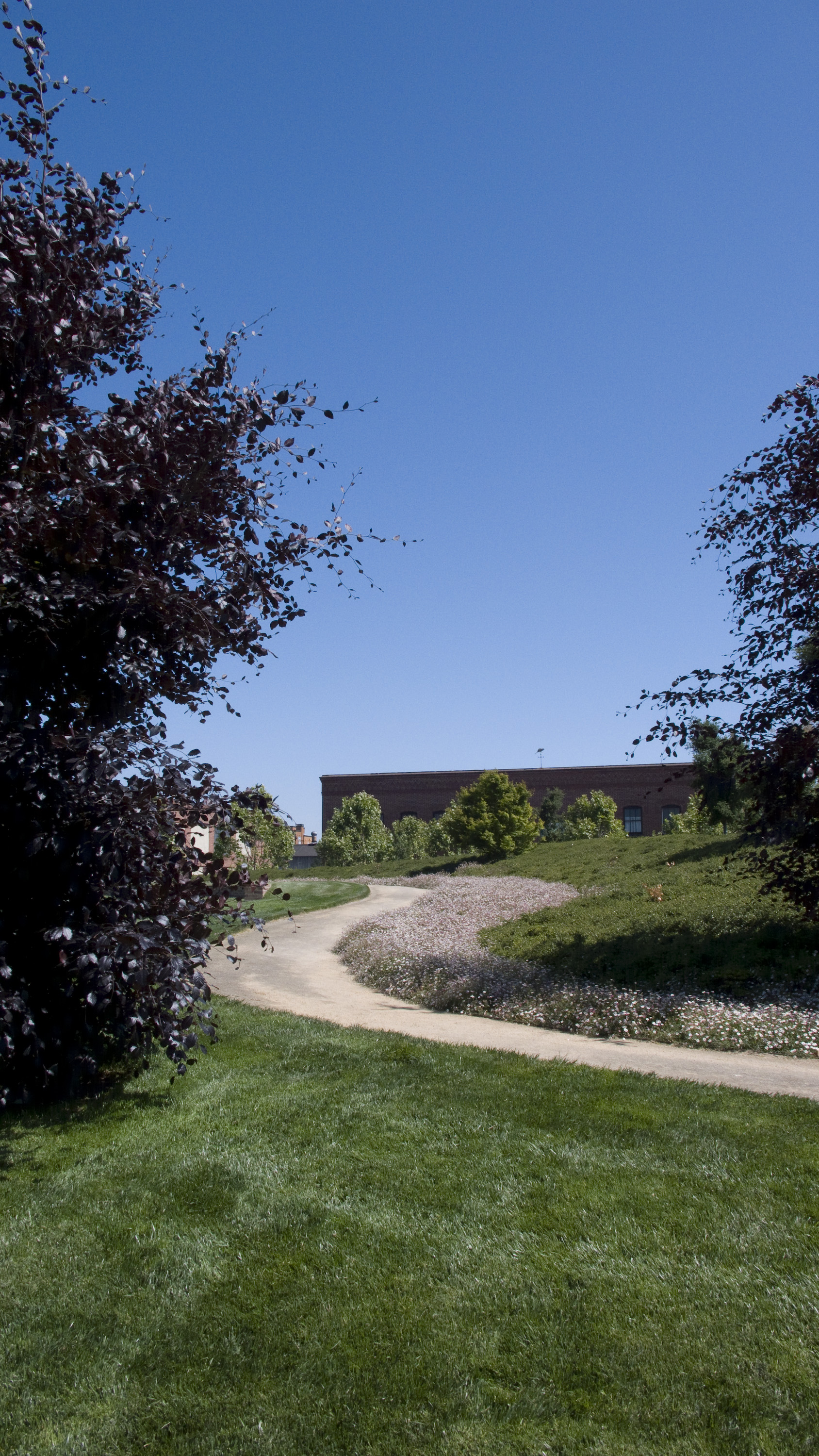 Pixar Animation Studios by PWP Landscape Architecture - Architizer