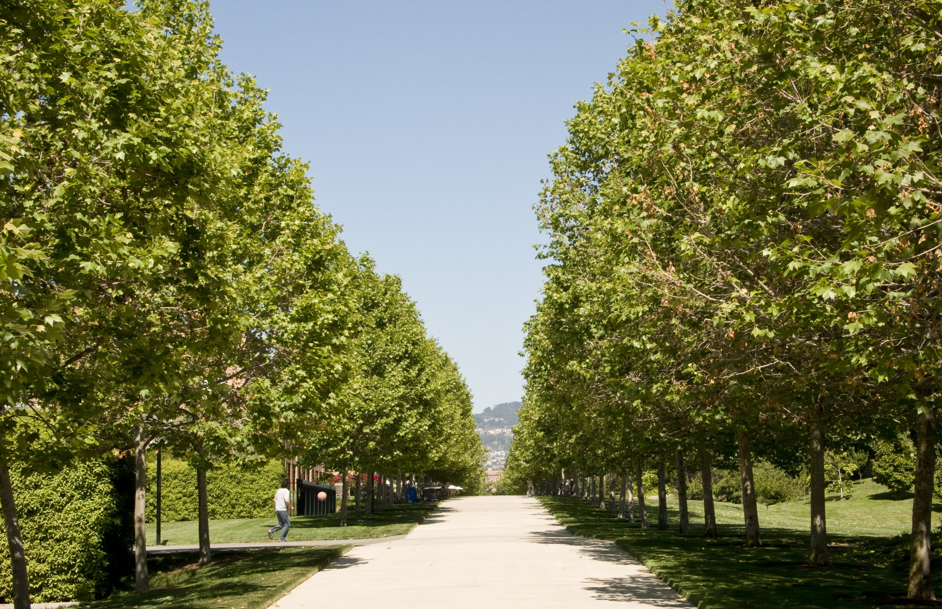 Pixar Animation Studios by PWP Landscape Architecture - Architizer