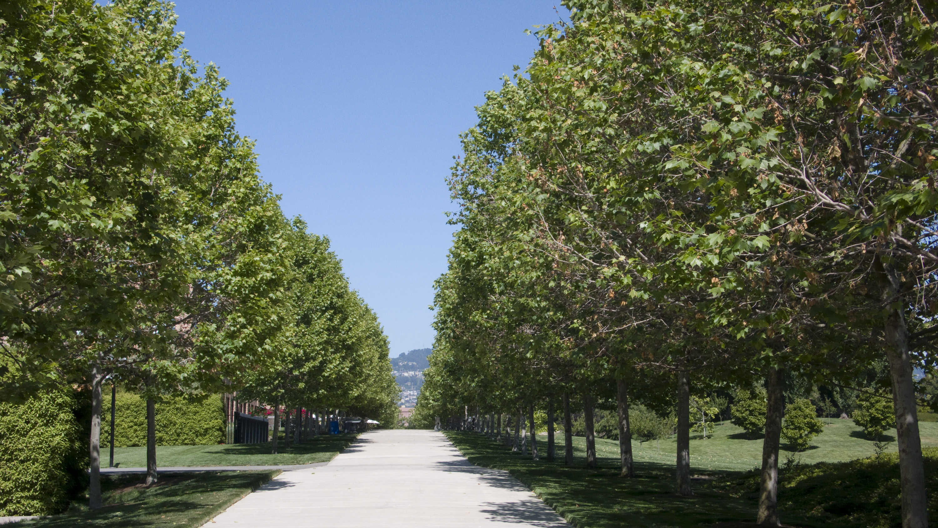 Pixar Animation Studios by PWP Landscape Architecture - Architizer