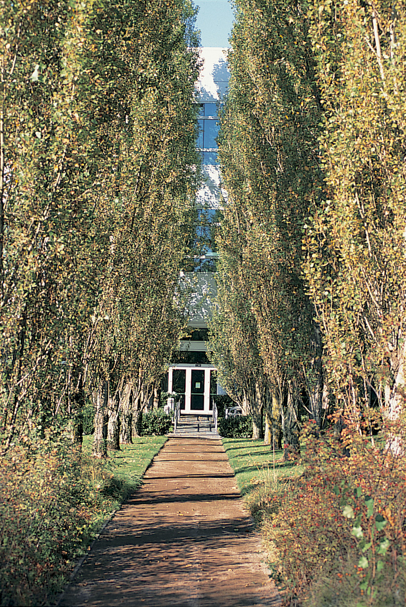 Boeing Longacres Industrial Park by PWP Landscape Architecture - Architizer