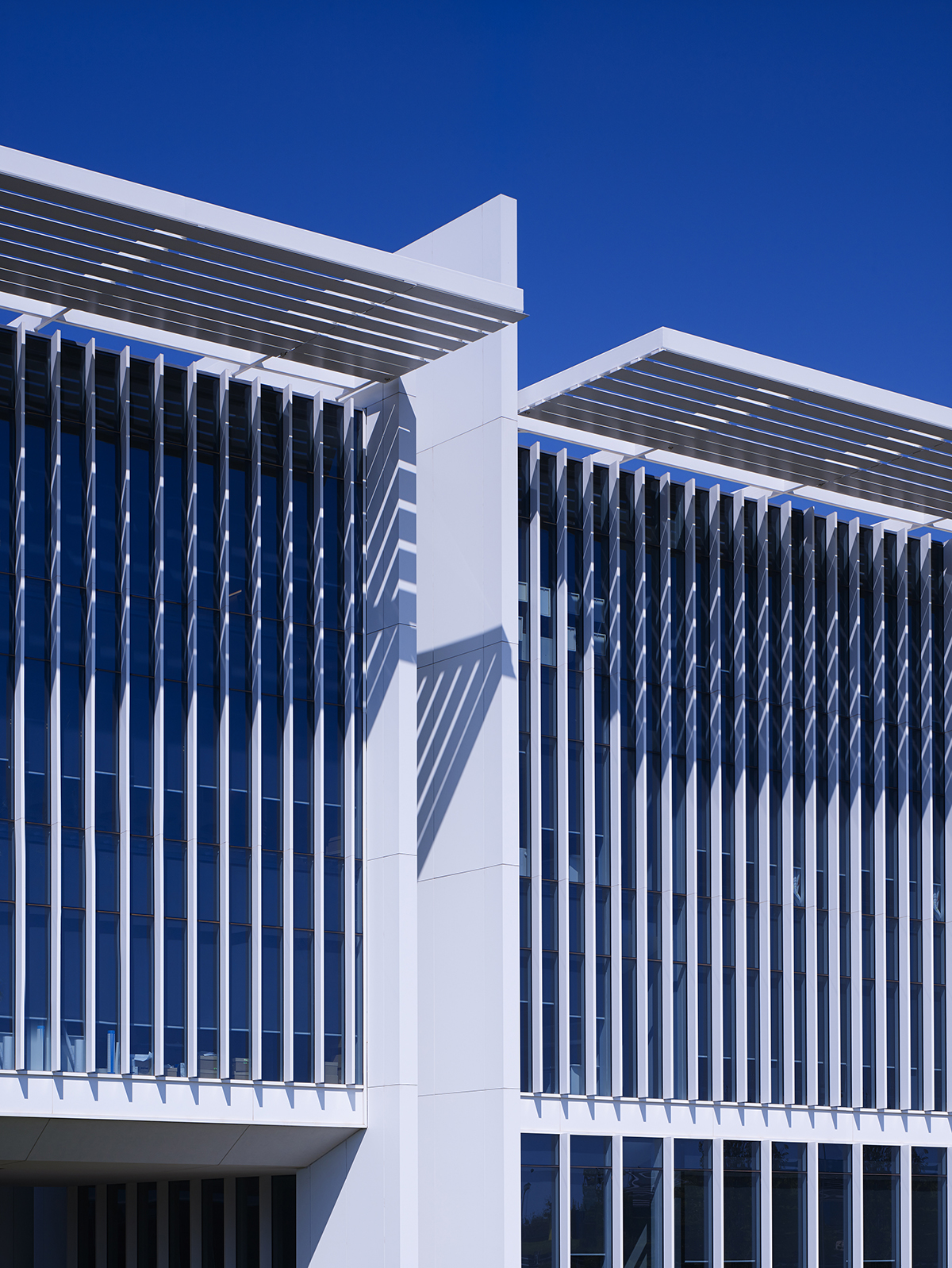 Chesapeake Building 15 by Rand Elliott Architects - Architizer