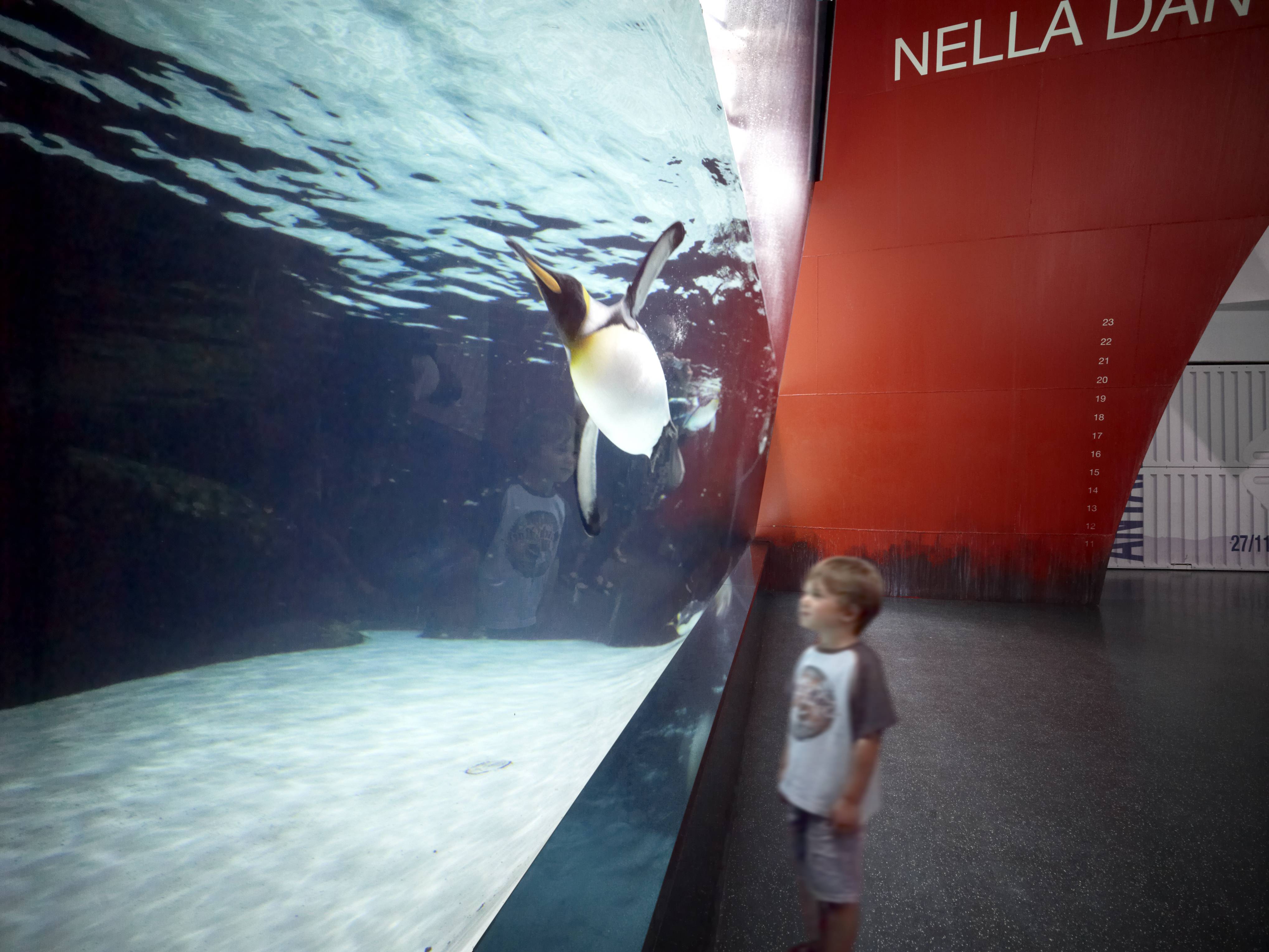 Melbourne Underwater World Stage 2 by Frank Architecture - Architizer