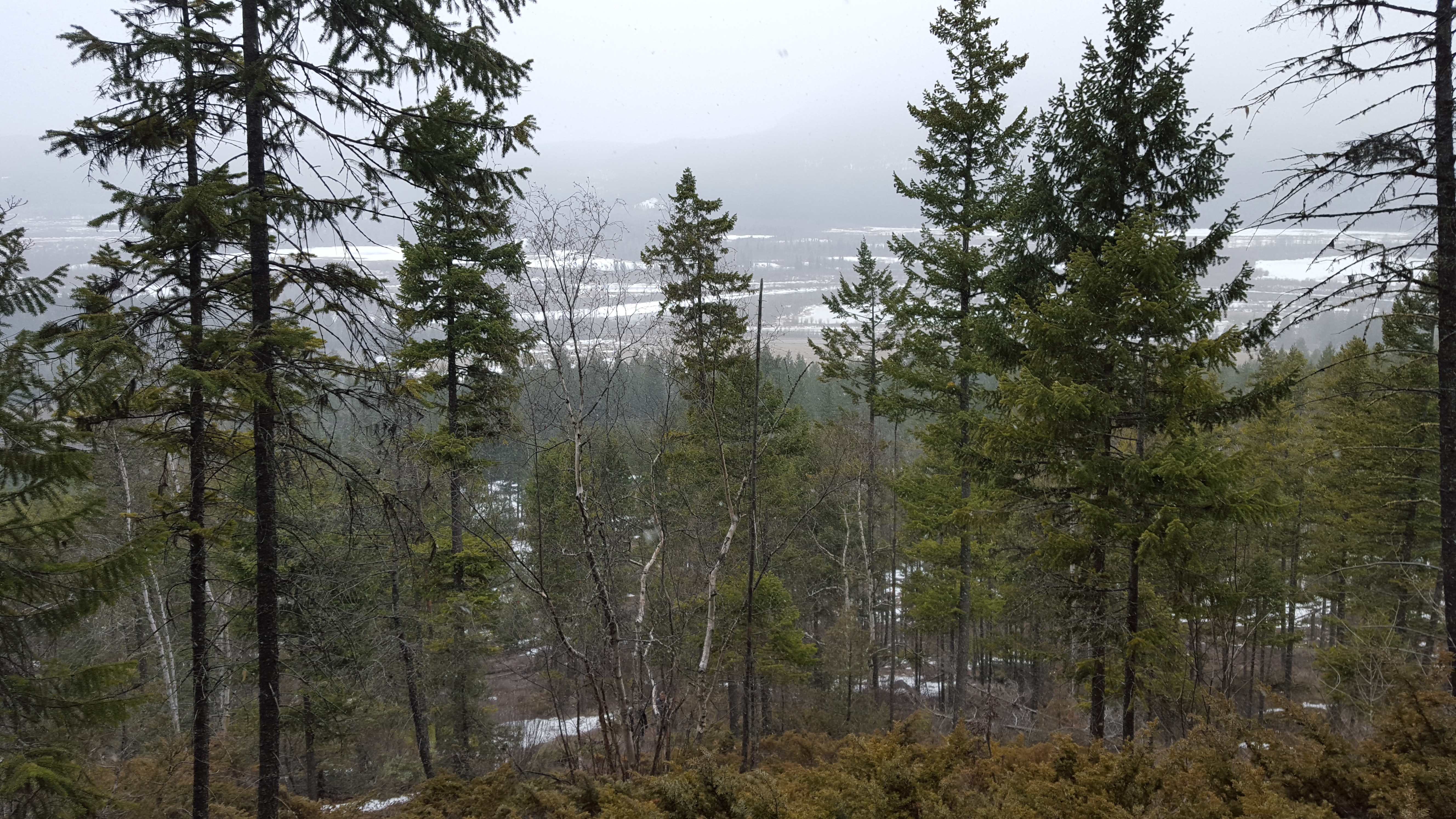 Spillimacheen Eco-Retreat by STADY ISETTA - Architizer