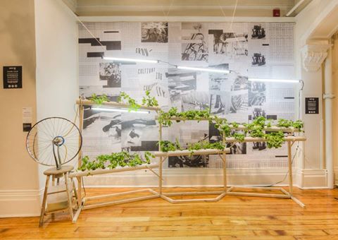 Design Build Grow Studio - Architizer