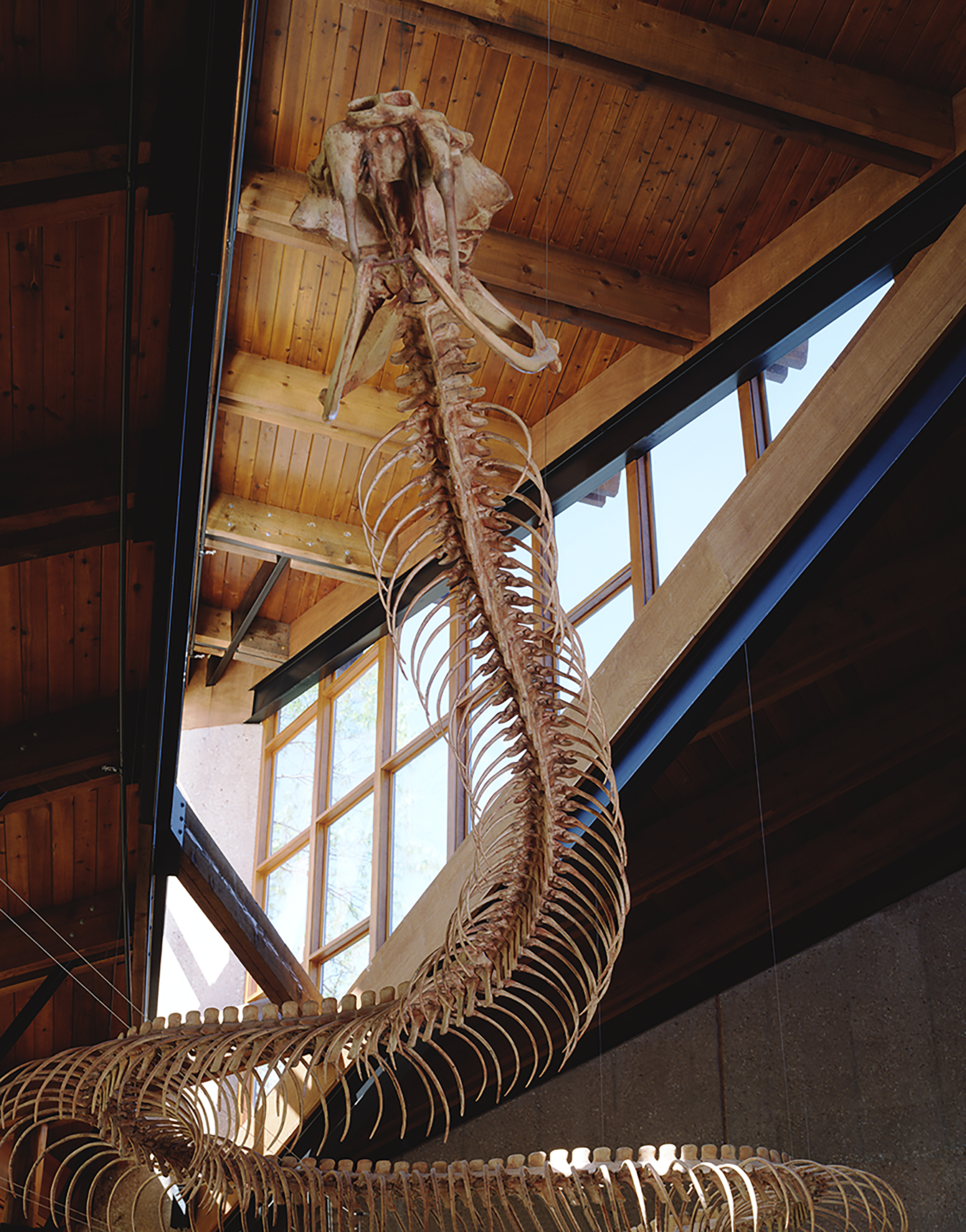 Lakeside Nature Center by International Architects Atelier - Architizer