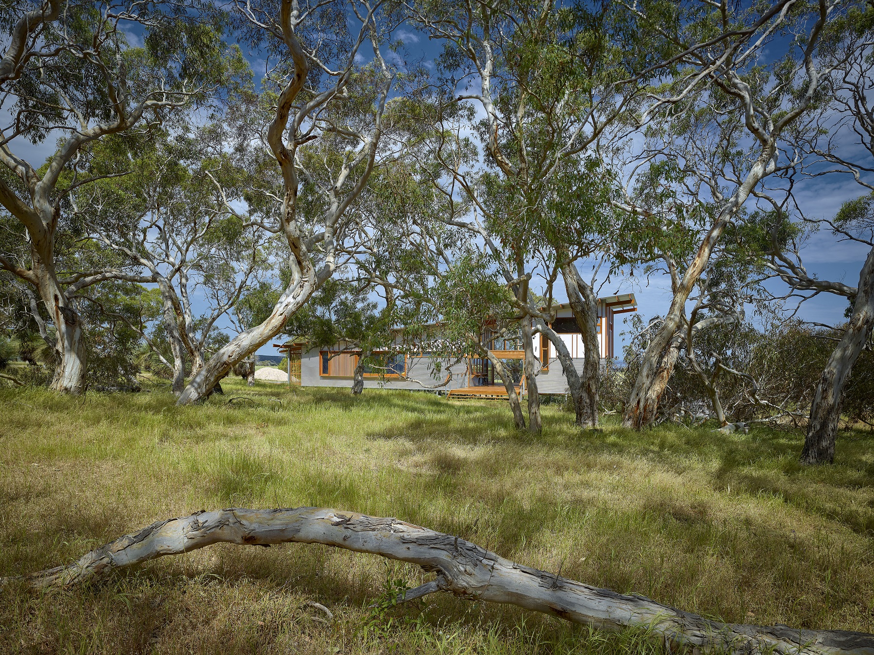Waitpinga House by Martin Williamson Architect - Architizer